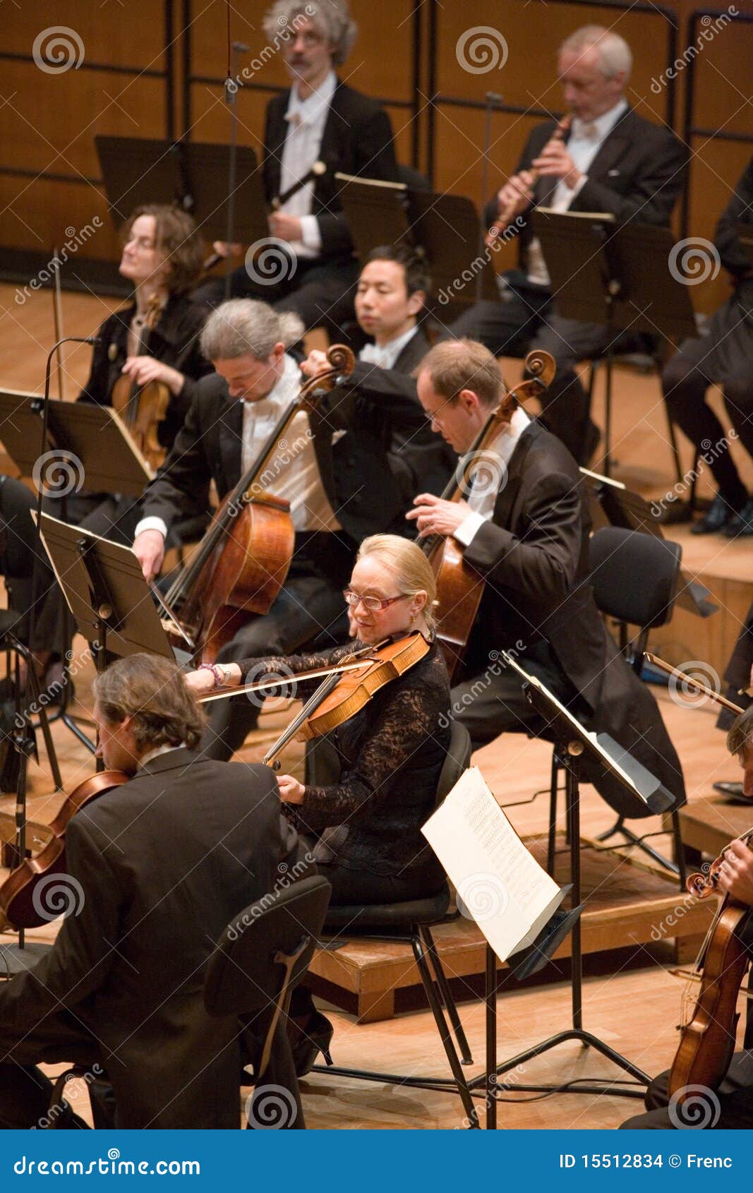 Anima Eterna Philharmonic Orchestra Editorial Stock Image - Image of ...