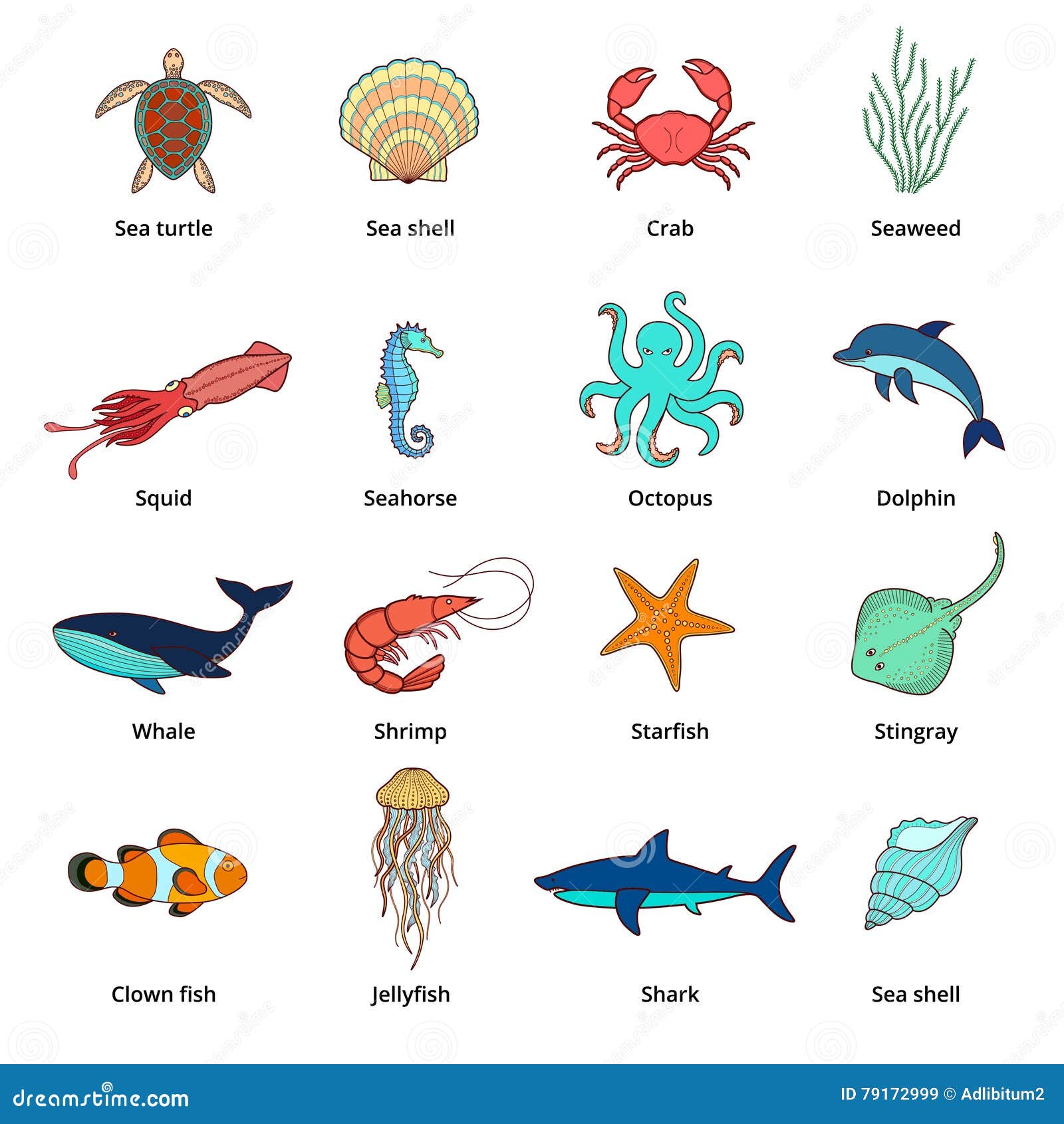 Animais Marinhos Nomes E Fotos - FDPLEARN