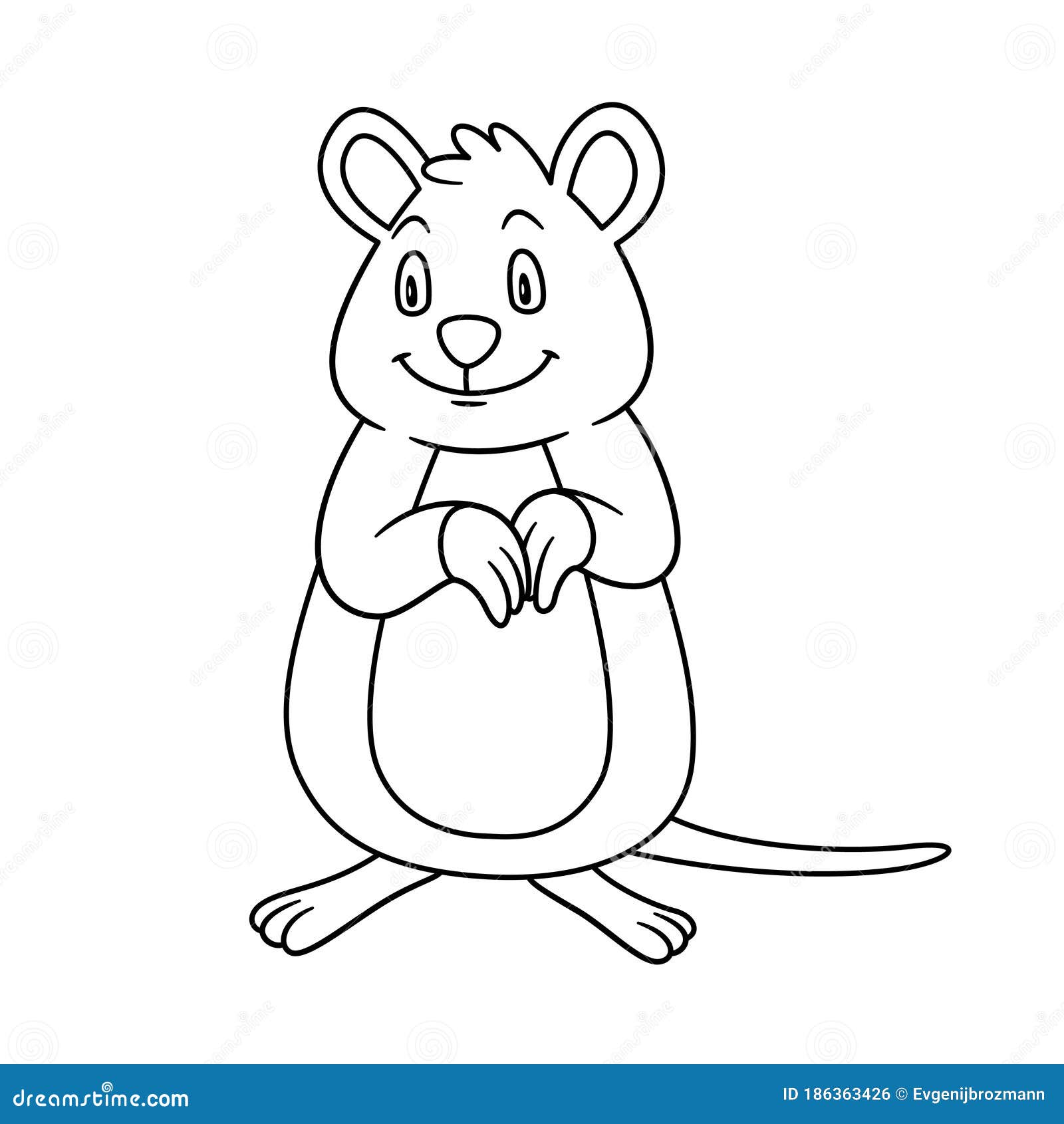 Animal Quokka. Illustration. for Pre School Education, Kindergarten and ...