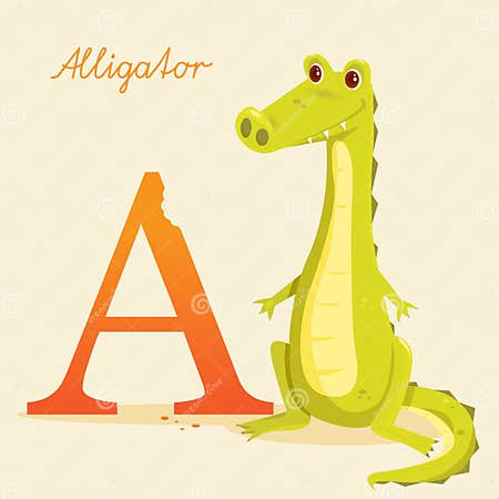 Animal Alphabet with Alligator Stock Vector - Illustration of text ...