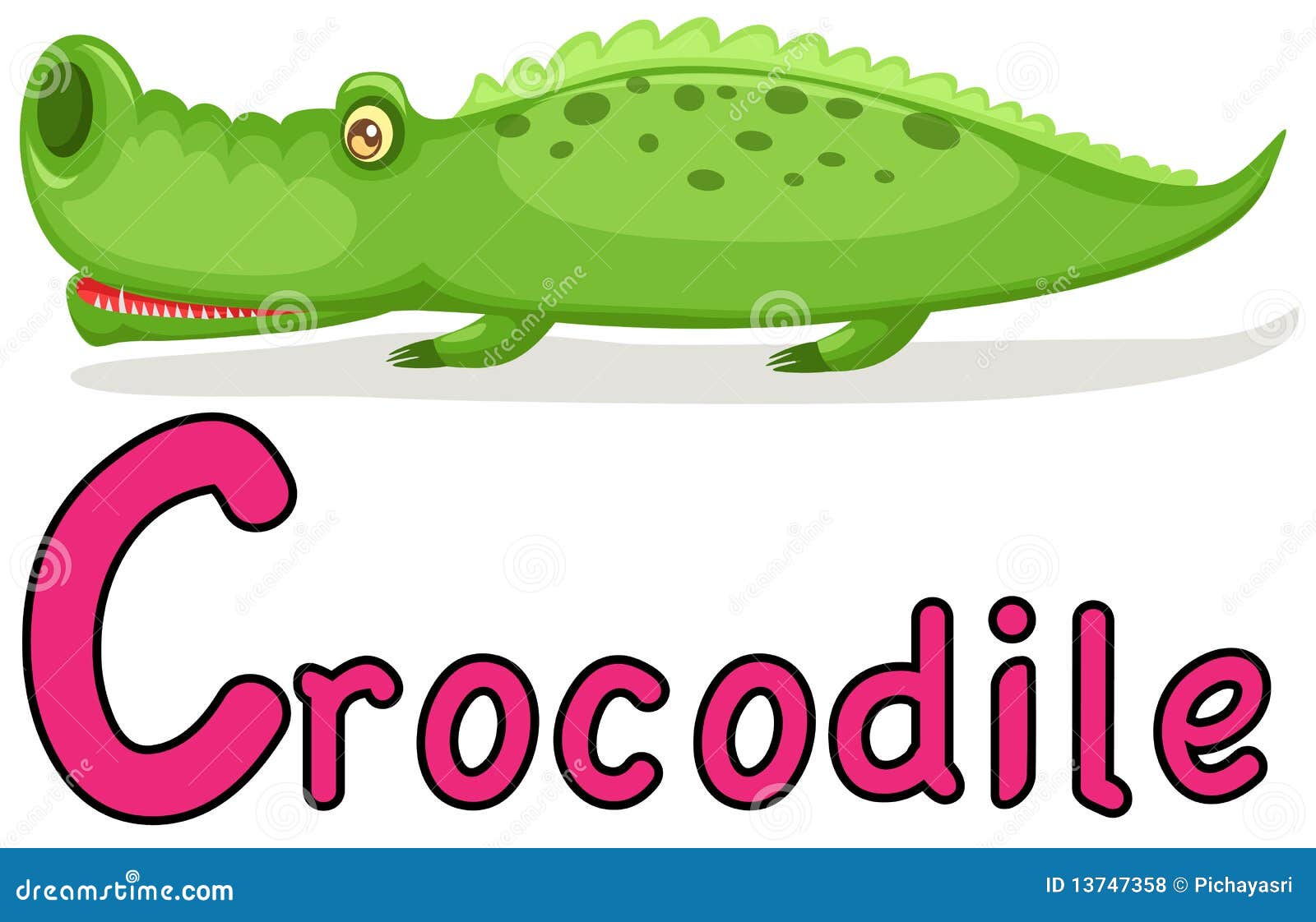 Animal Alphabet C for Crocodile Stock Vector - Illustration of learning ...