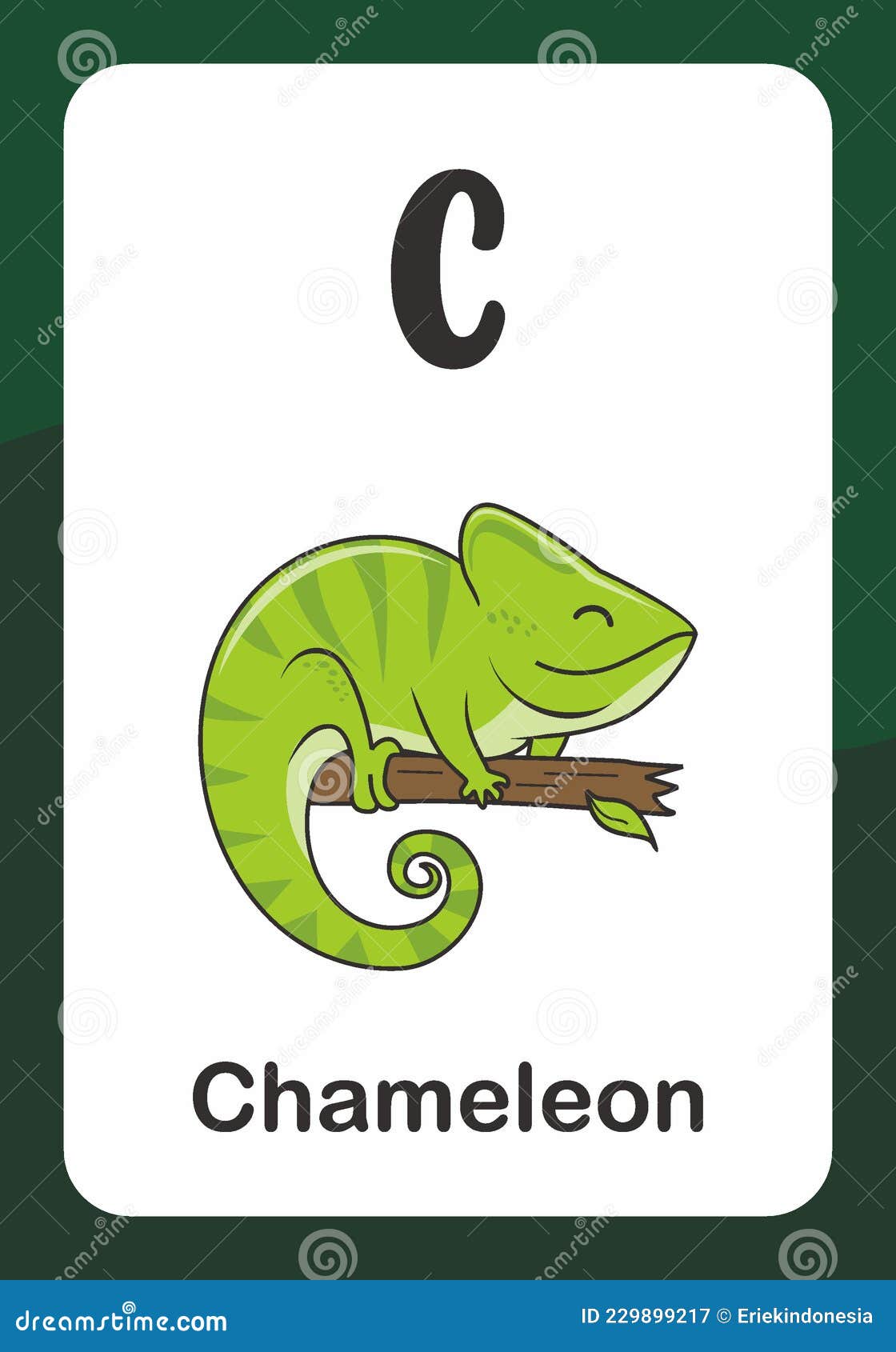 Animal Alphabet Flash Card - C for Chameleon Stock Vector ...