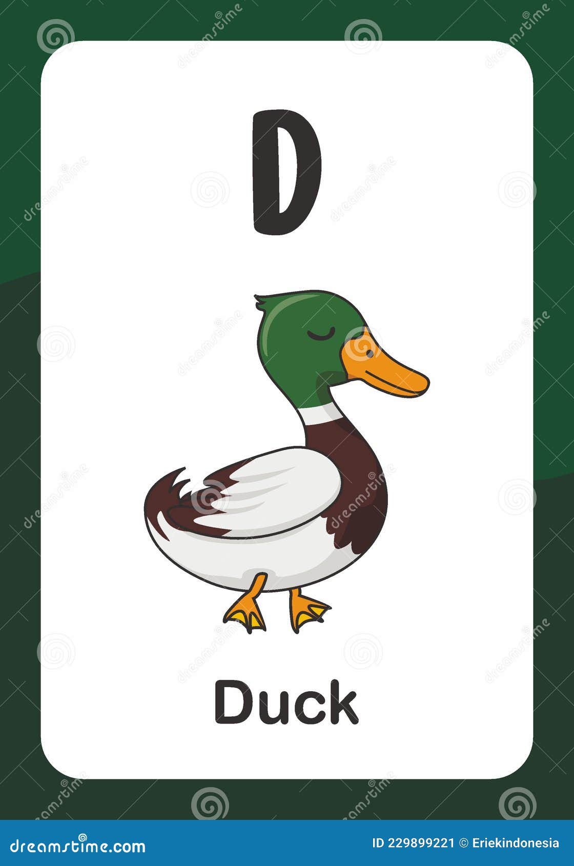 Animal Alphabet Flash Card - D for Duck Stock Vector - Illustration of ...