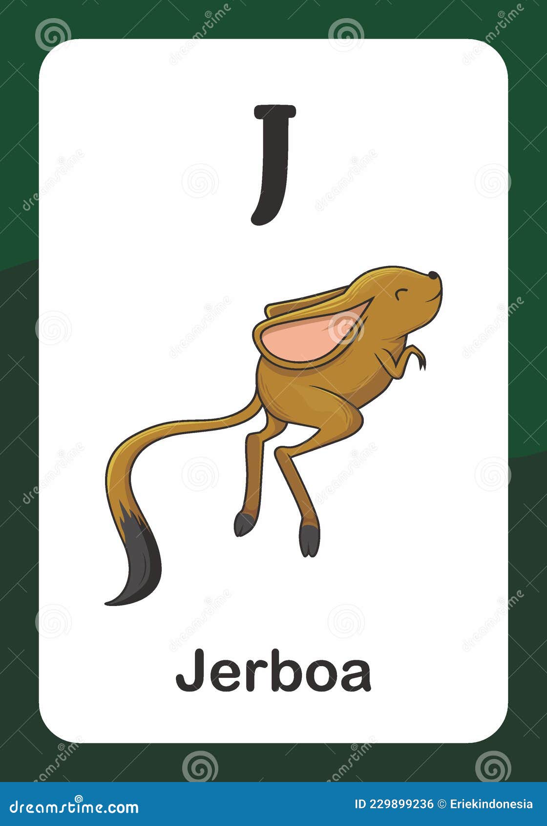 Animal Alphabet Flash Card - J for Jerboa Stock Vector - Illustration ...
