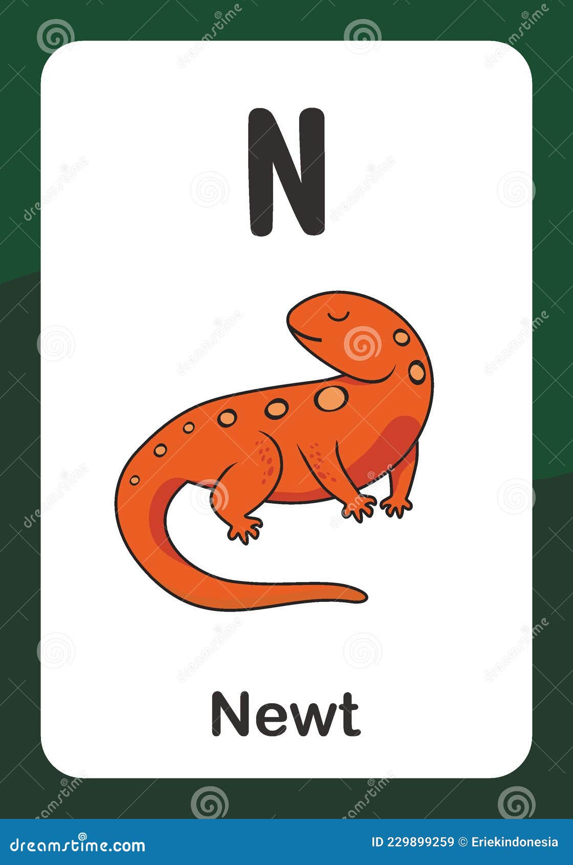 Animal Zoo Newt Lizard Style Font Letters Words Word Alphabet ...