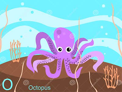 Animal Alphabet Flash Card, O for Octopus Stock Vector - Illustration ...