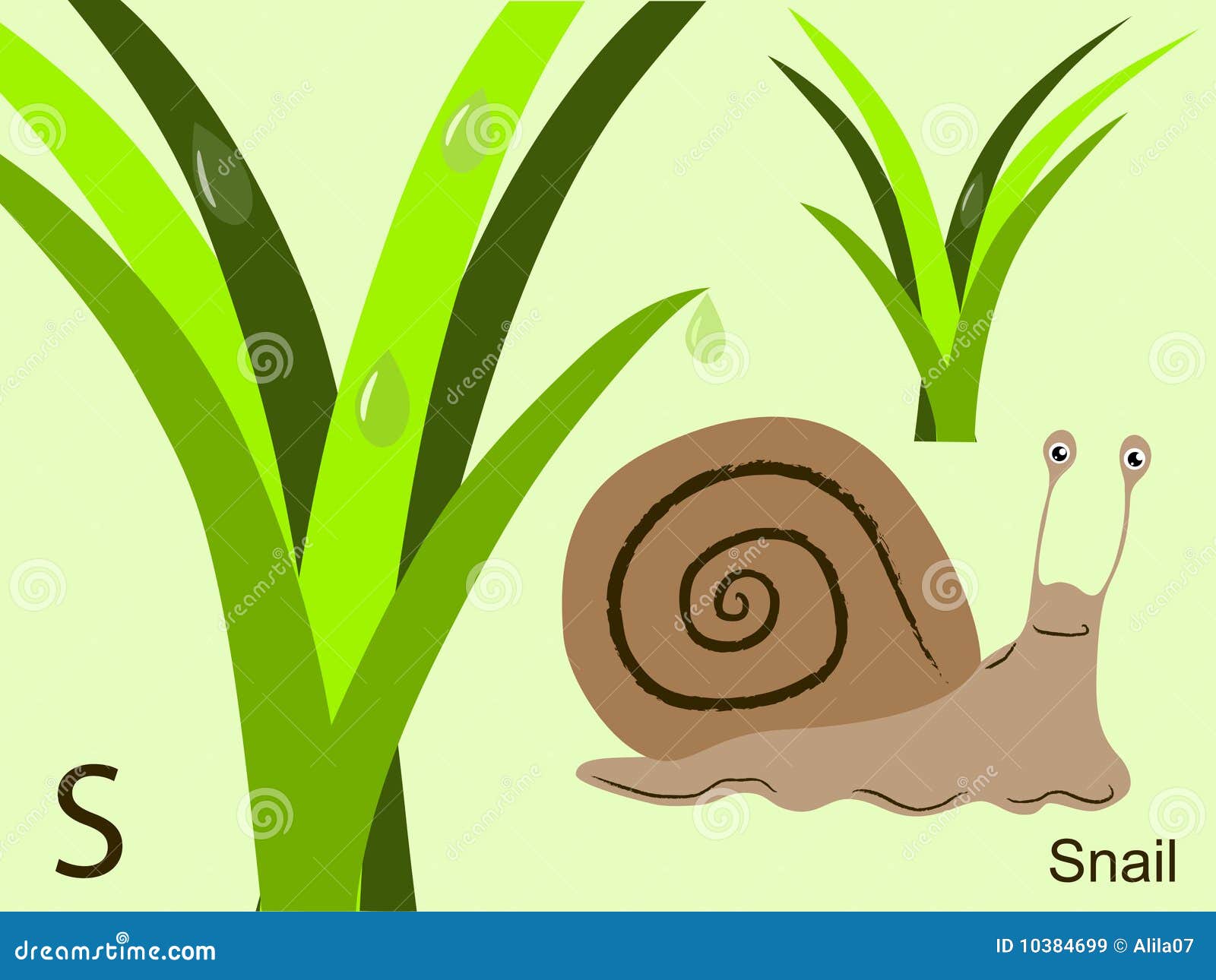 Animal Alphabet Flash Card, S for Snail Stock Vector - Illustration of ...