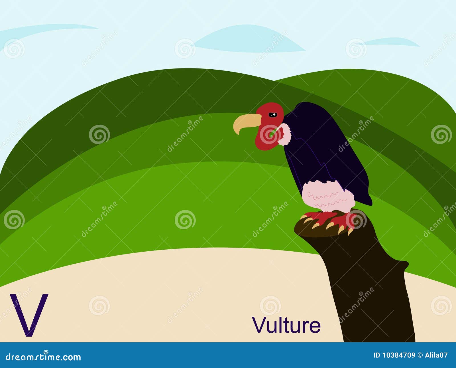 Animal Alphabet Flash Card, V for Vulture Stock Vector - Illustration ...