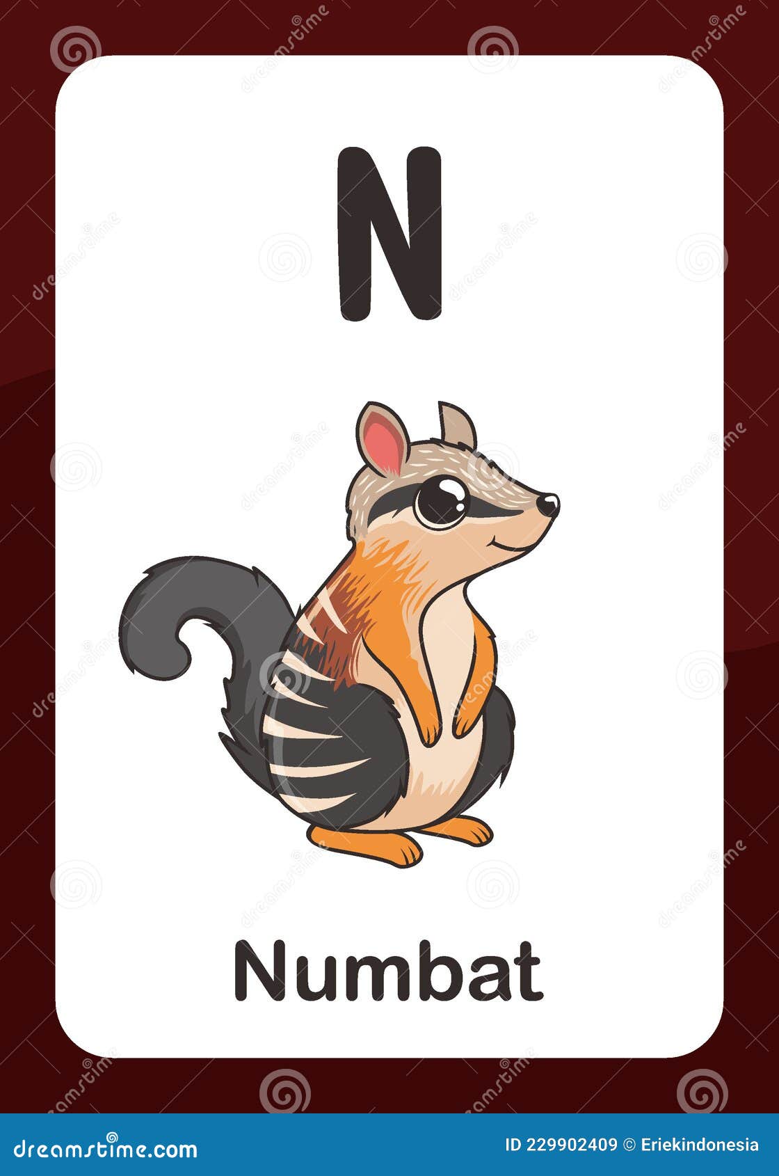 Animal Alphabet Flashcard - N for Numbat Stock Vector - Illustration of ...