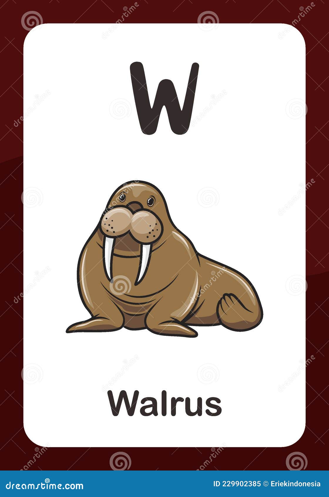 Animal Alphabet Flashcard - W for Walrus Stock Vector - Illustration of ...