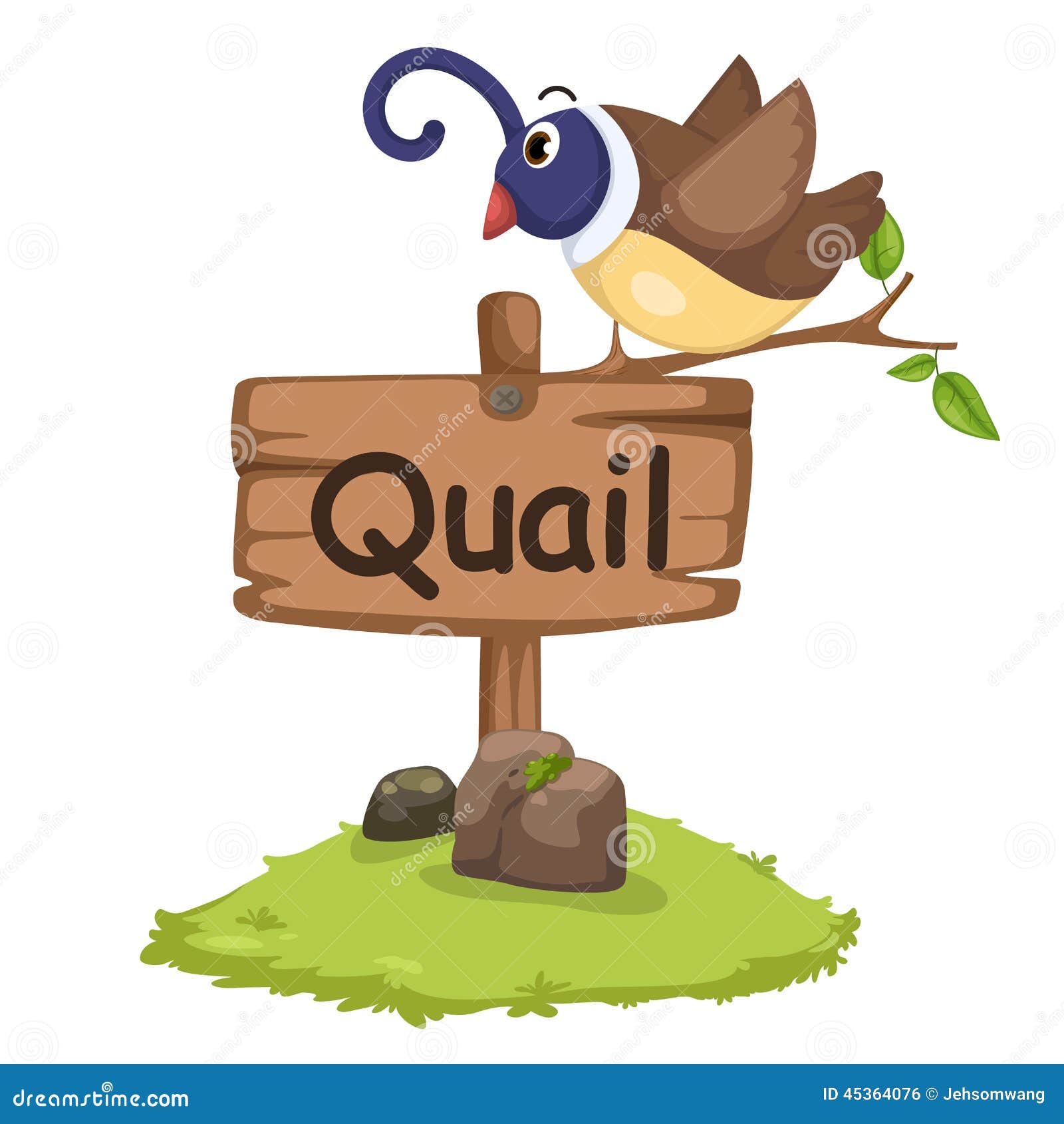 Animal Zoo Quail Plover Style Font Letters Words Word Alphabet ...
