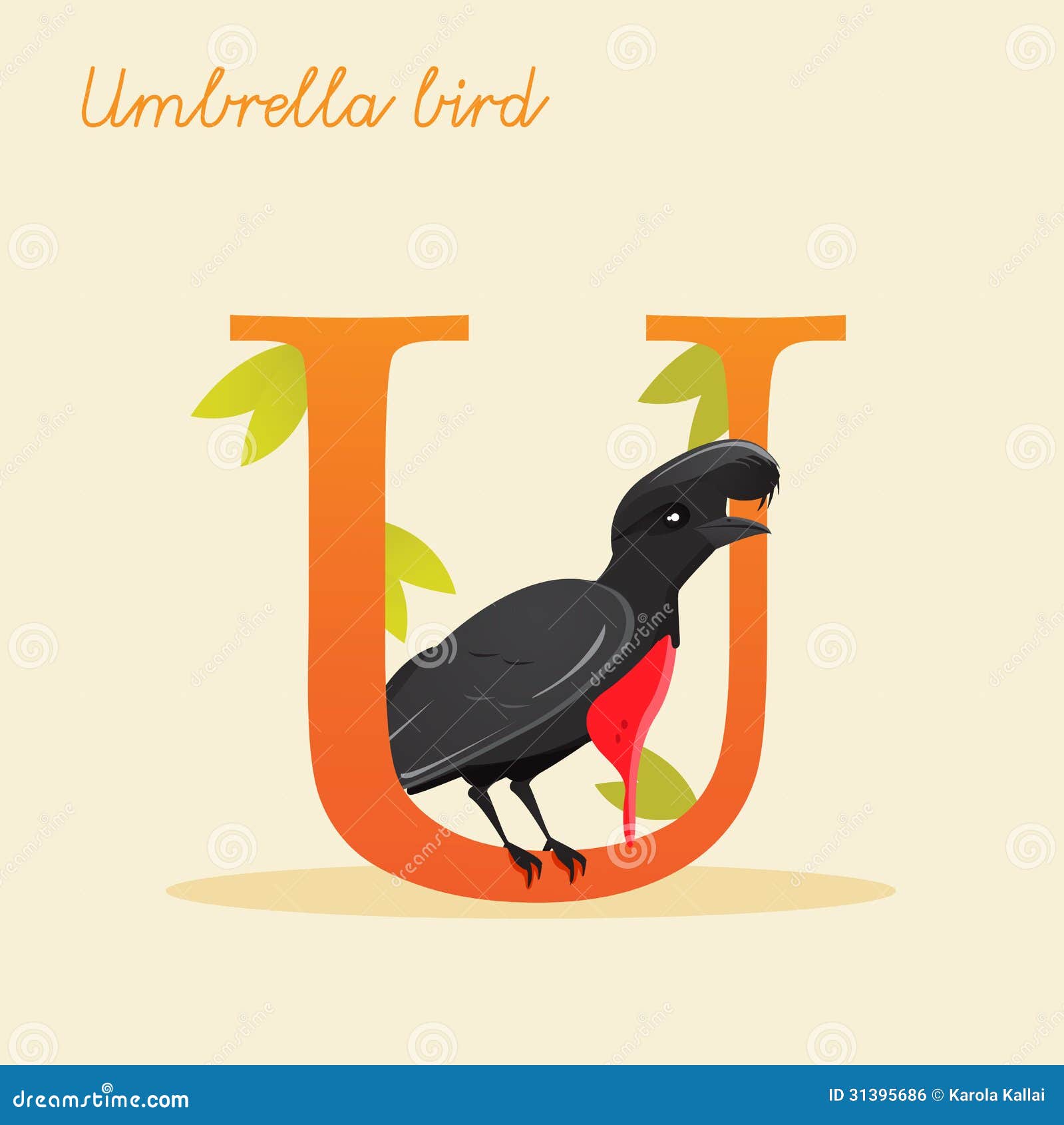Animal Alphabet with Umbrella Bird Stock Vector - Illustration of study ...