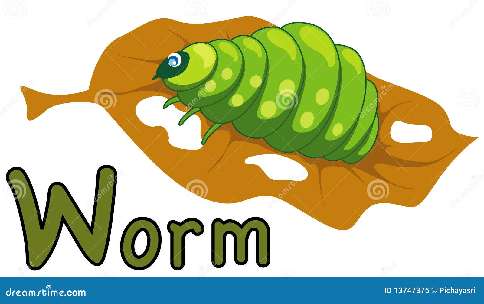 Animal alphabet W for worm stock vector. Illustration of happy - 13747375