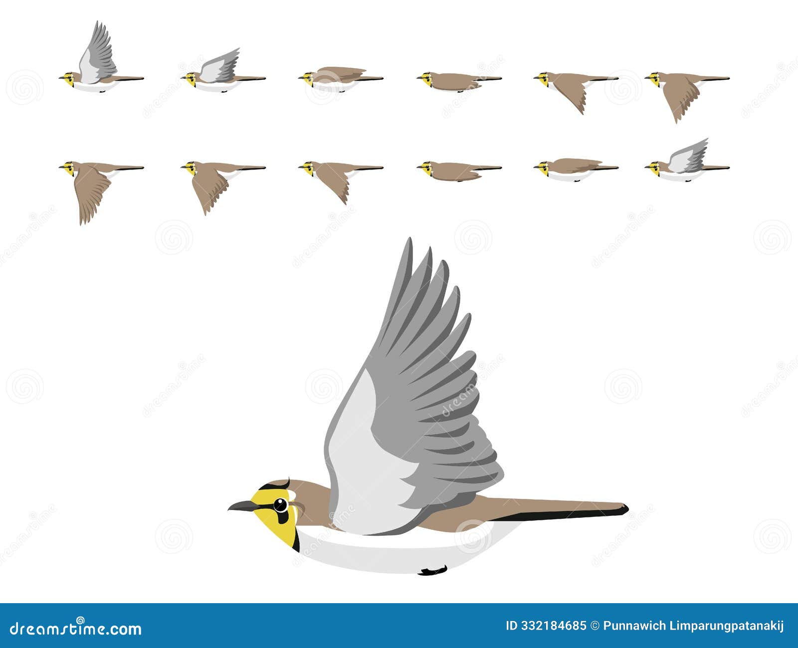 Bird Horned Lark Flying Animation Sequence Cartoon Vector Stock Vector ...