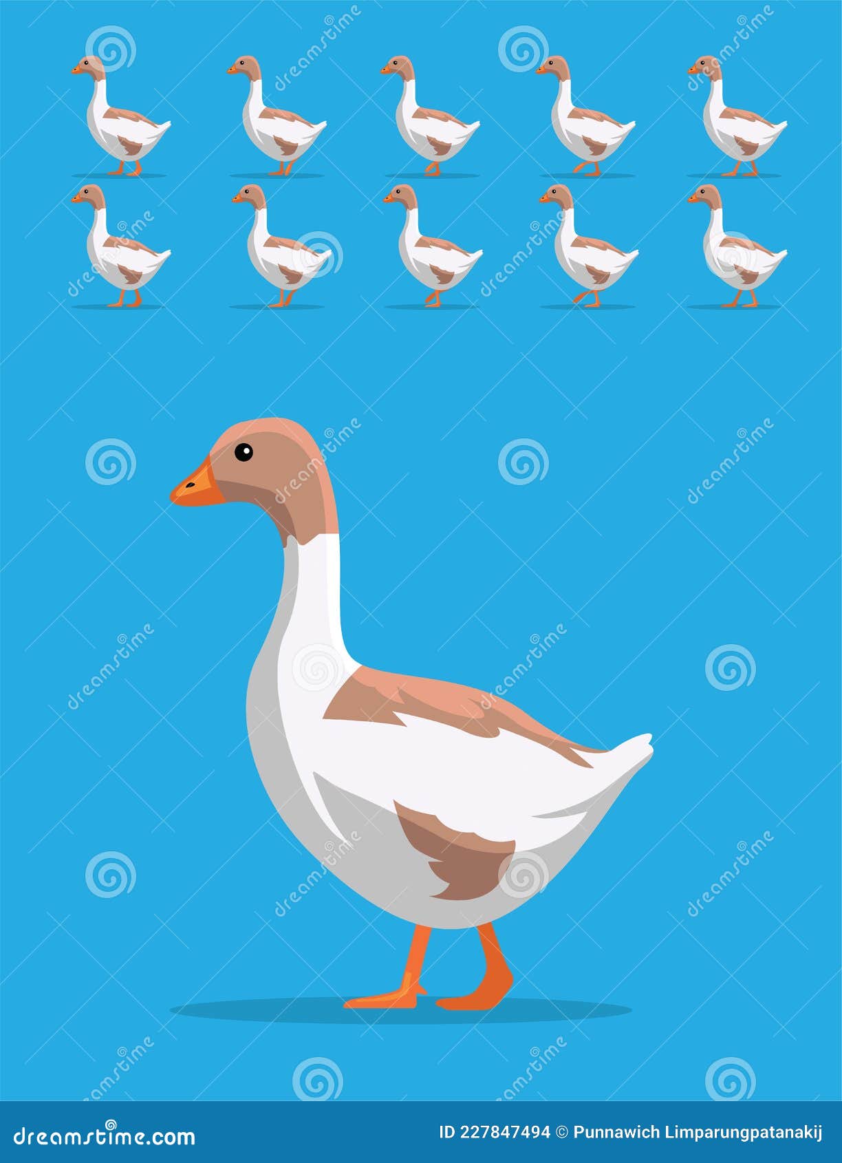Animal Animation Sequence Buff Goose Cartoon Vector Stock Vector ...