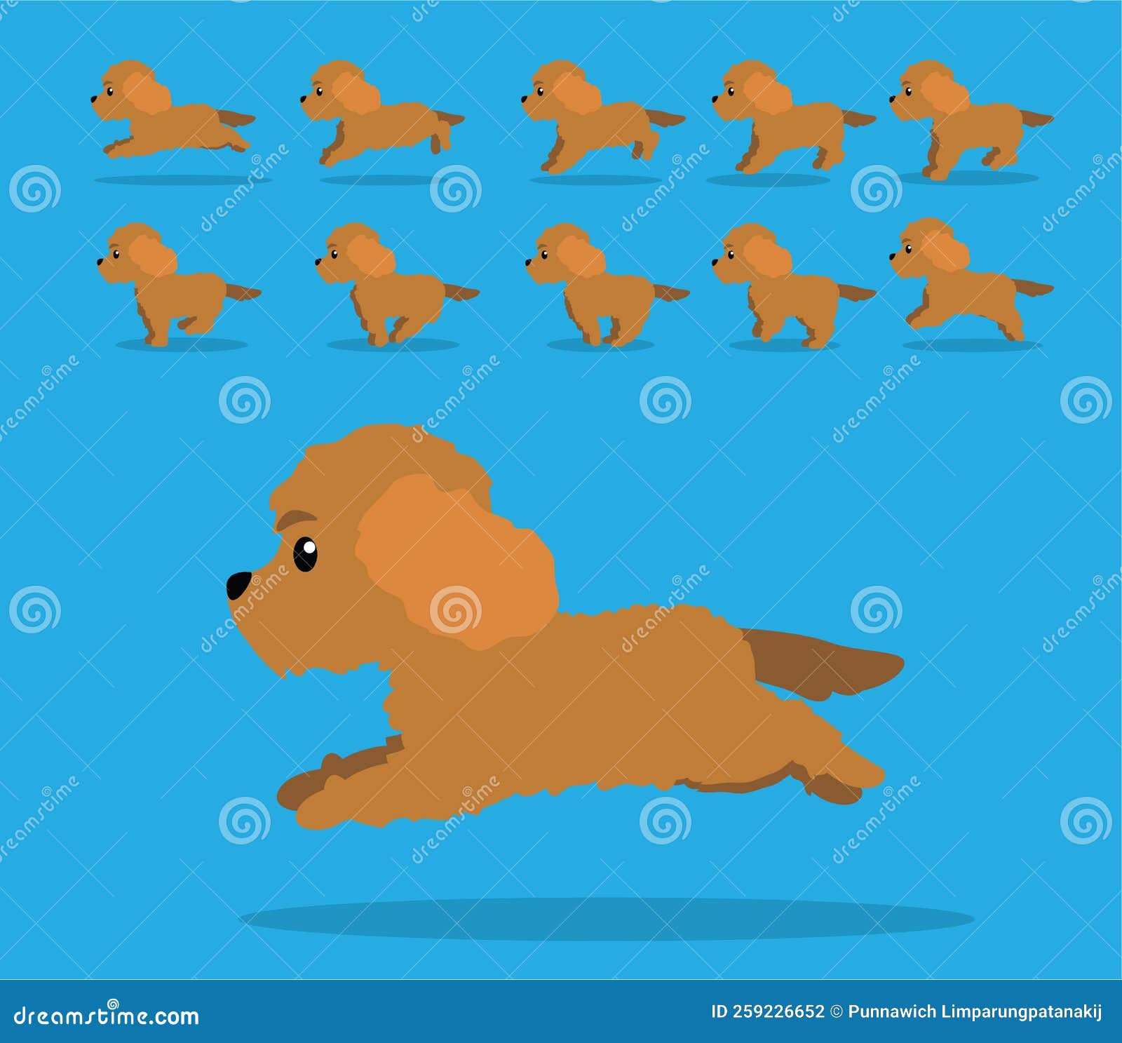 Animal Animation Sequence Dog Cockapoo Cartoon Vector Stock Vector ...