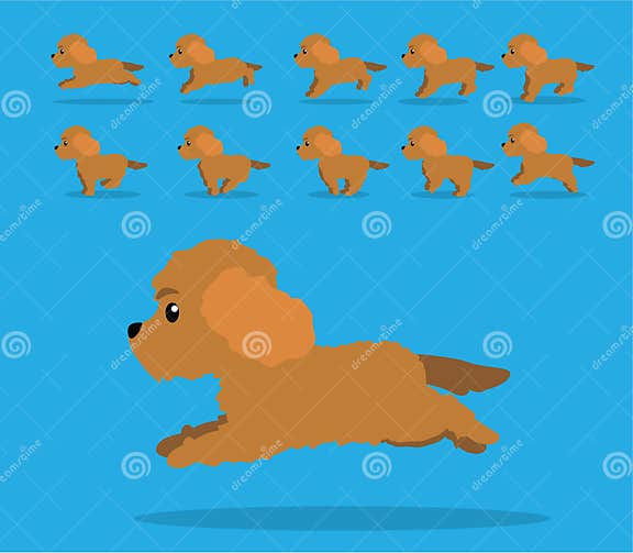 Animal Animation Sequence Dog Cockapoo Cartoon Vector Stock Vector ...
