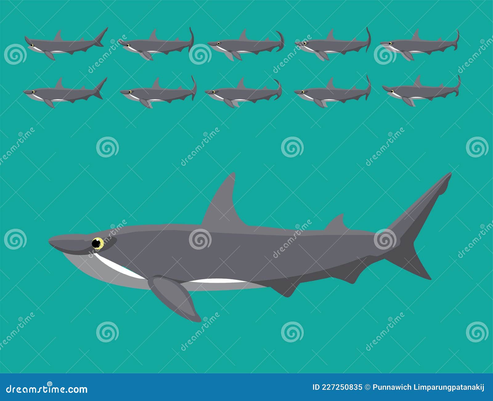 Animal Animation Sequence Hammerhead Shark Cartoon Vector Stock Vector ...