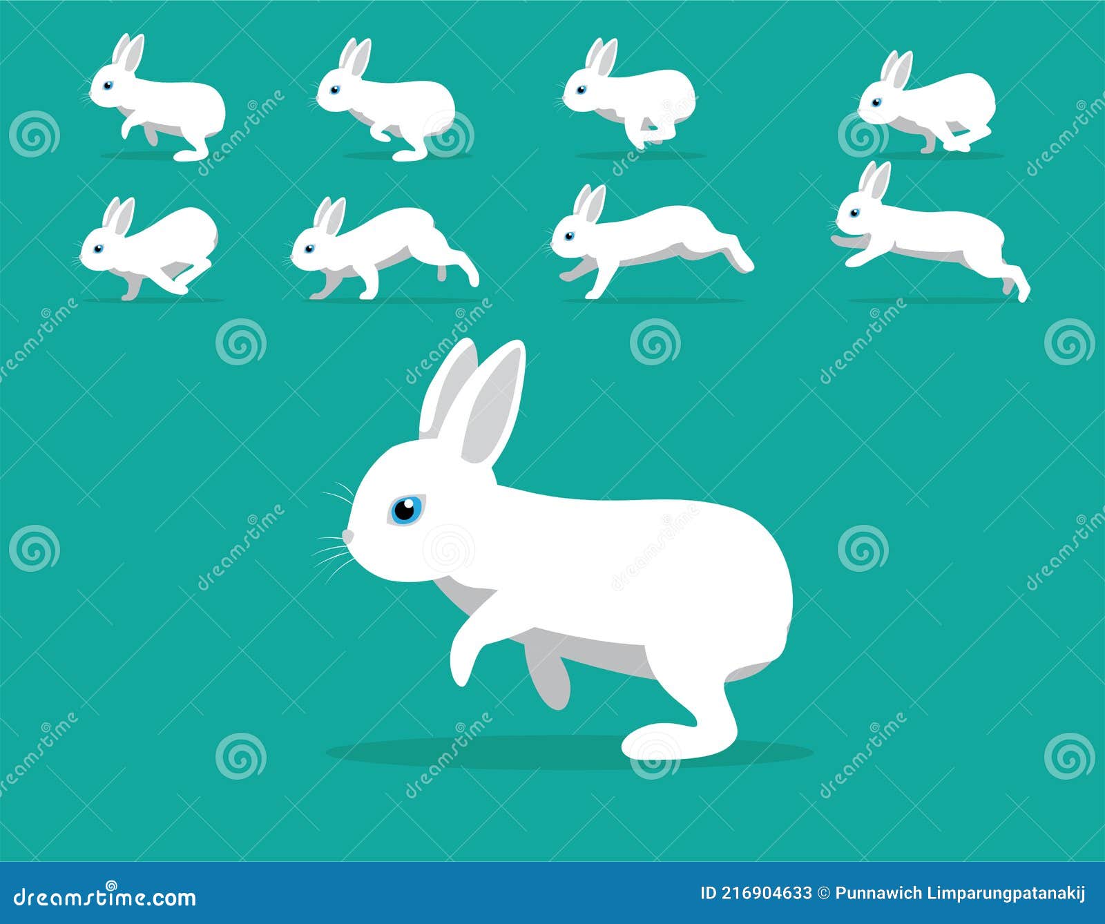 Animal Animation Sequence Rabbit Dwarf Hotot White Cartoon Vector ...