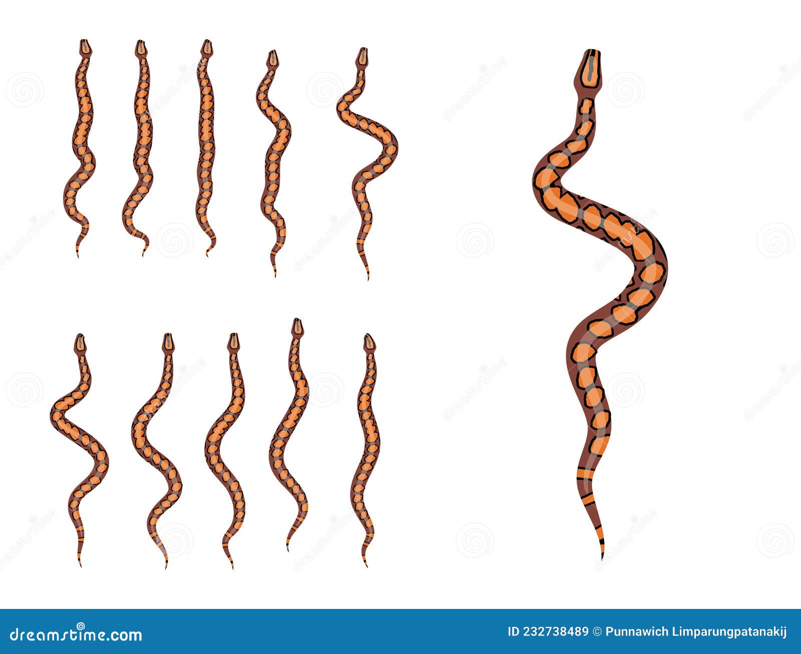 Animal Animation Sequence Rainbow Boa Cartoon Vector Stock Vector ...