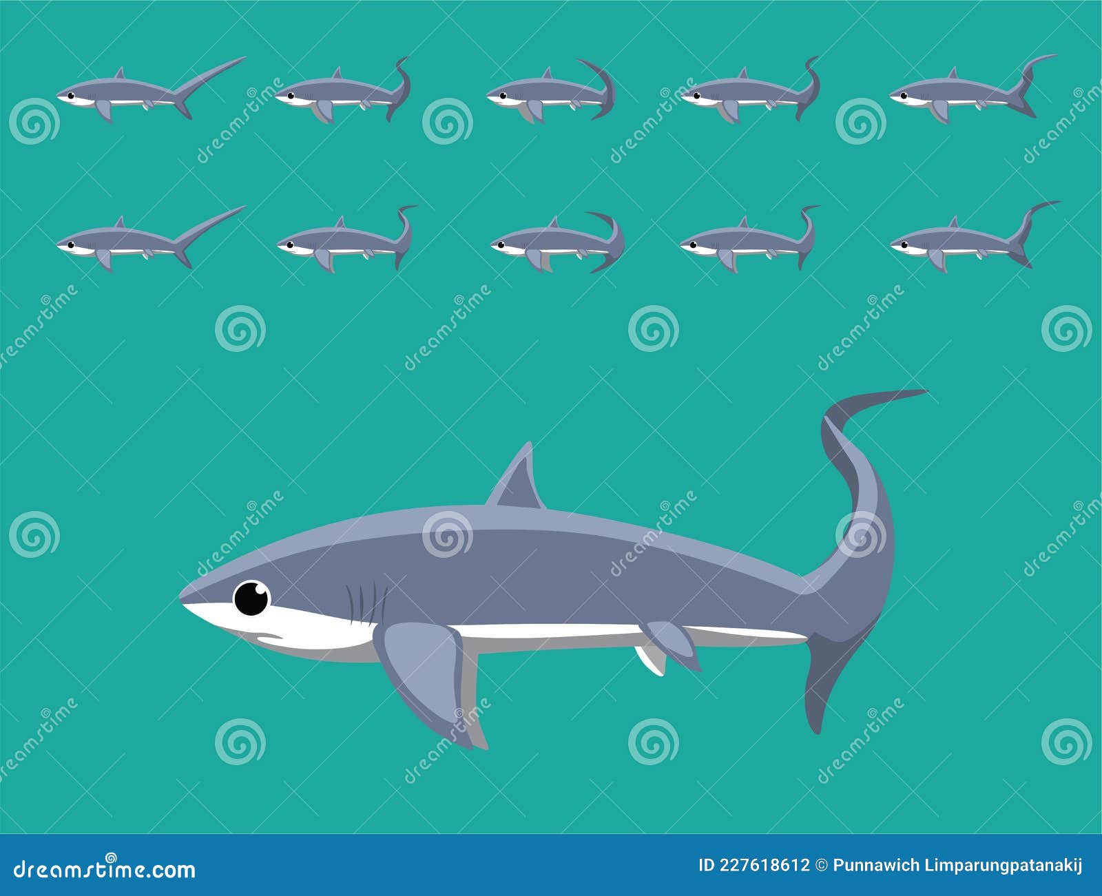 Animal Animation Sequence Thresher Shark Cartoon Vector | CartoonDealer ...