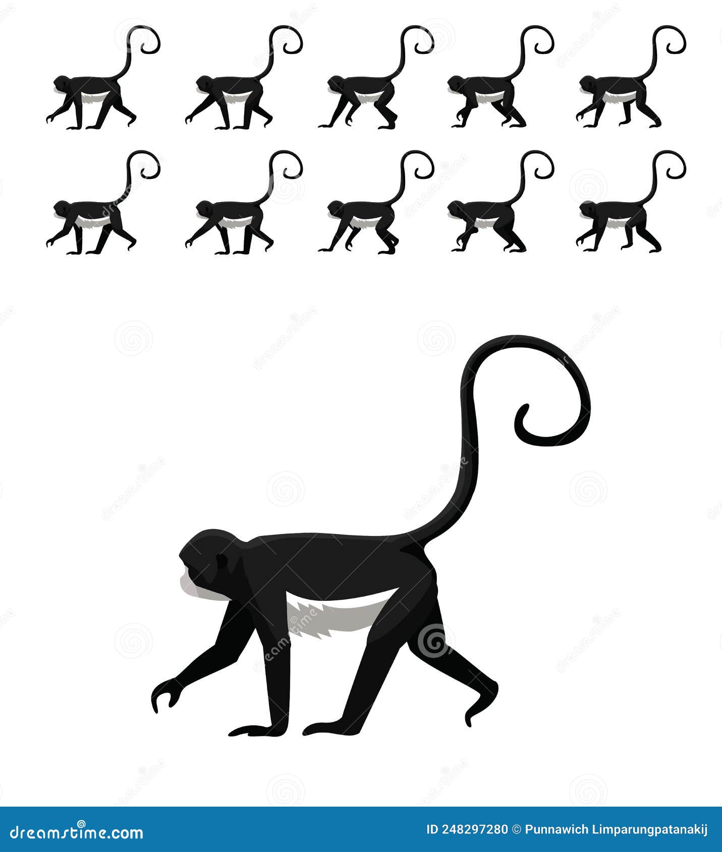 Animal Animation Primate Ape Spider Monkey Moves Frame Sequence Cute ...