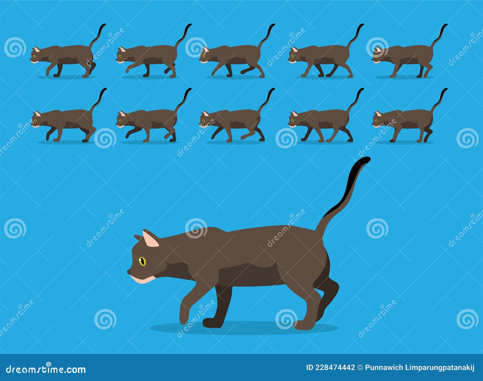 Animal Animation Sequence Cat Abyssinian Blue Cream Coat Cartoon Vector ...