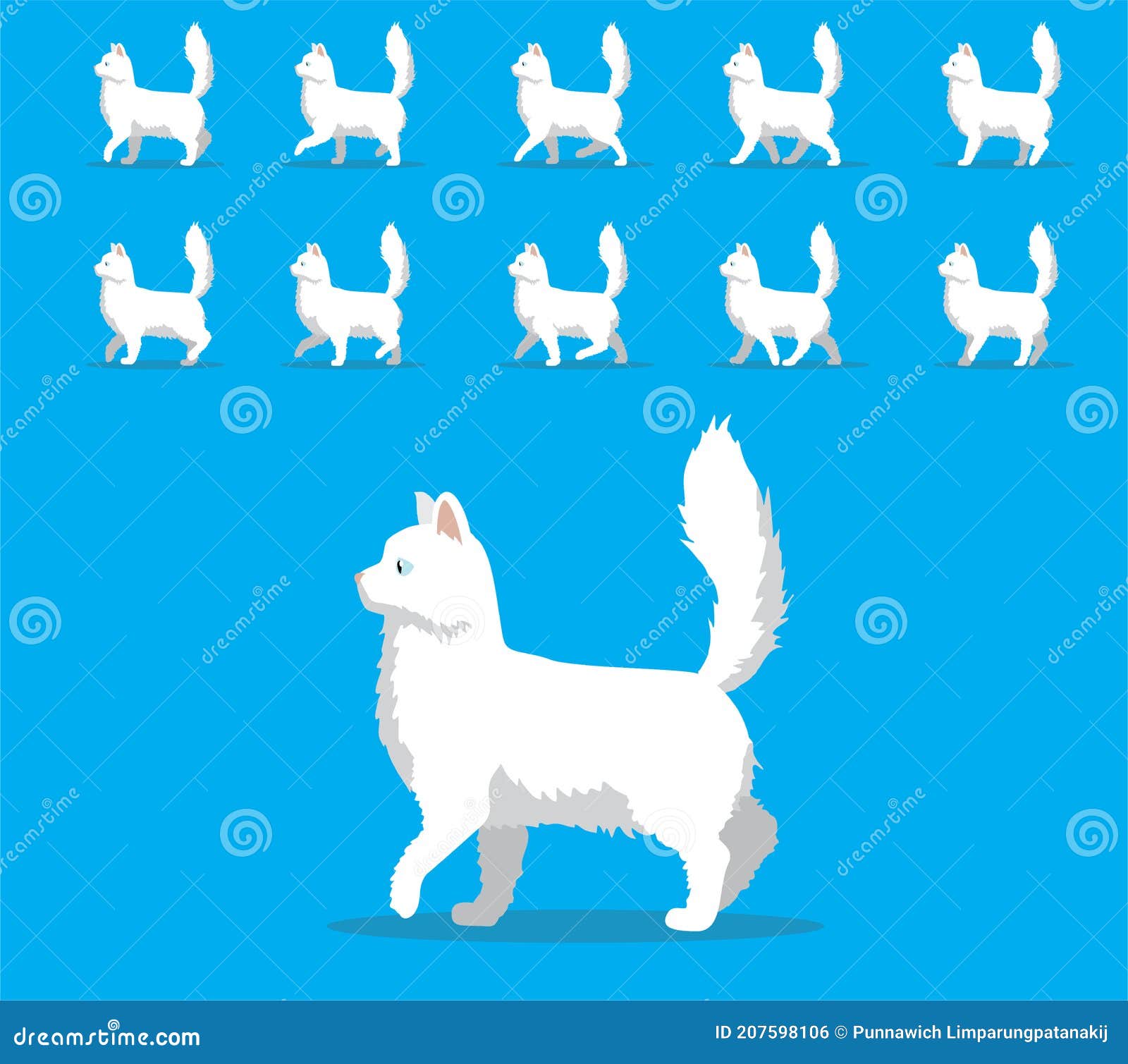 Animal Animation Sequence Cat Turkish Angora Cartoon Vector Stock ...