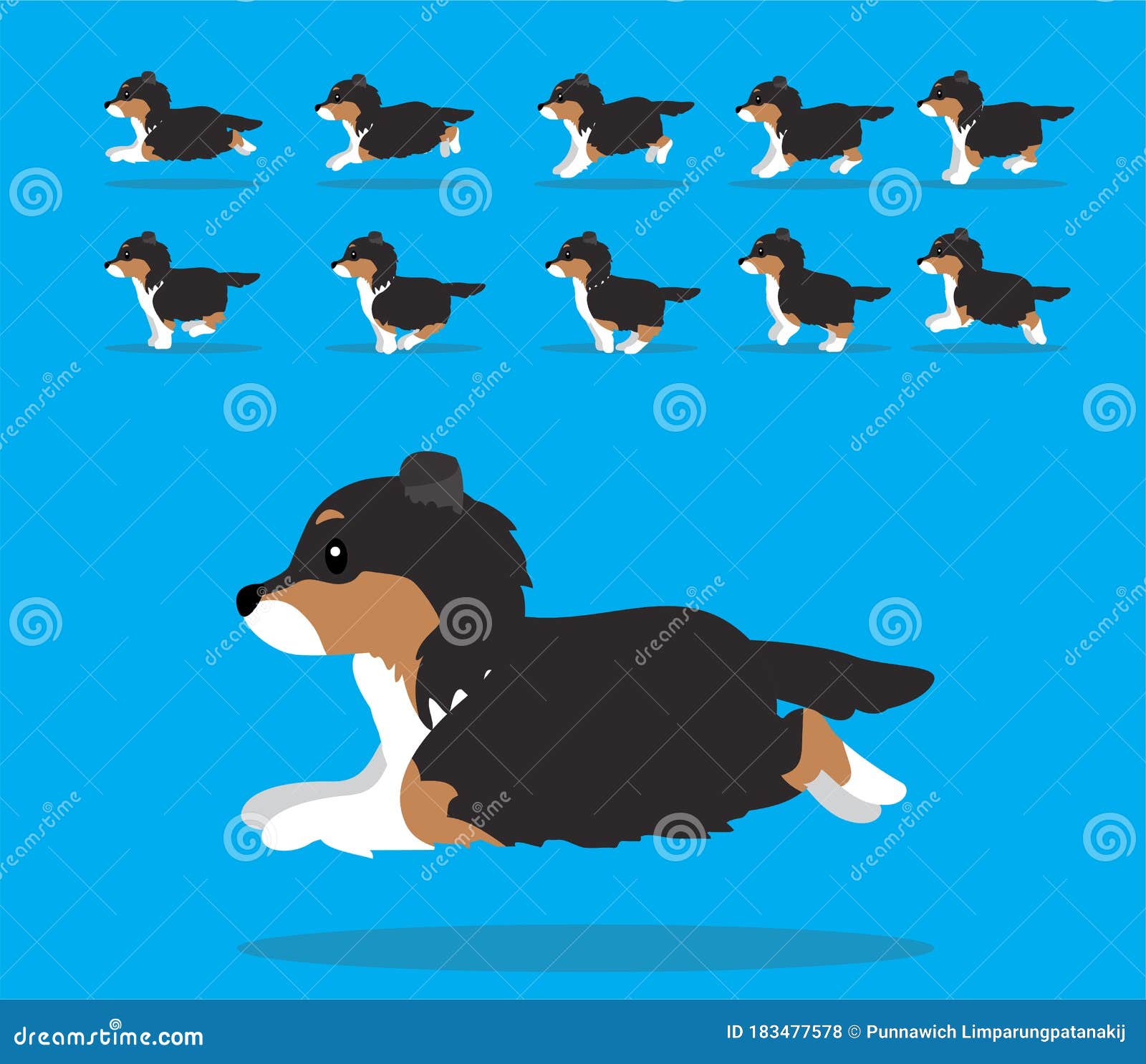 Animal Animation Sequence Dog Collie Cartoon Vector Stock Vector ...