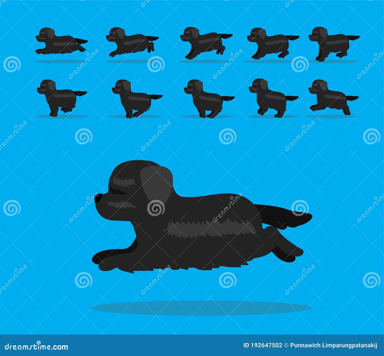 Animal Animation Sequence Dog Newfoundland Cartoon Vector Stock Vector ...