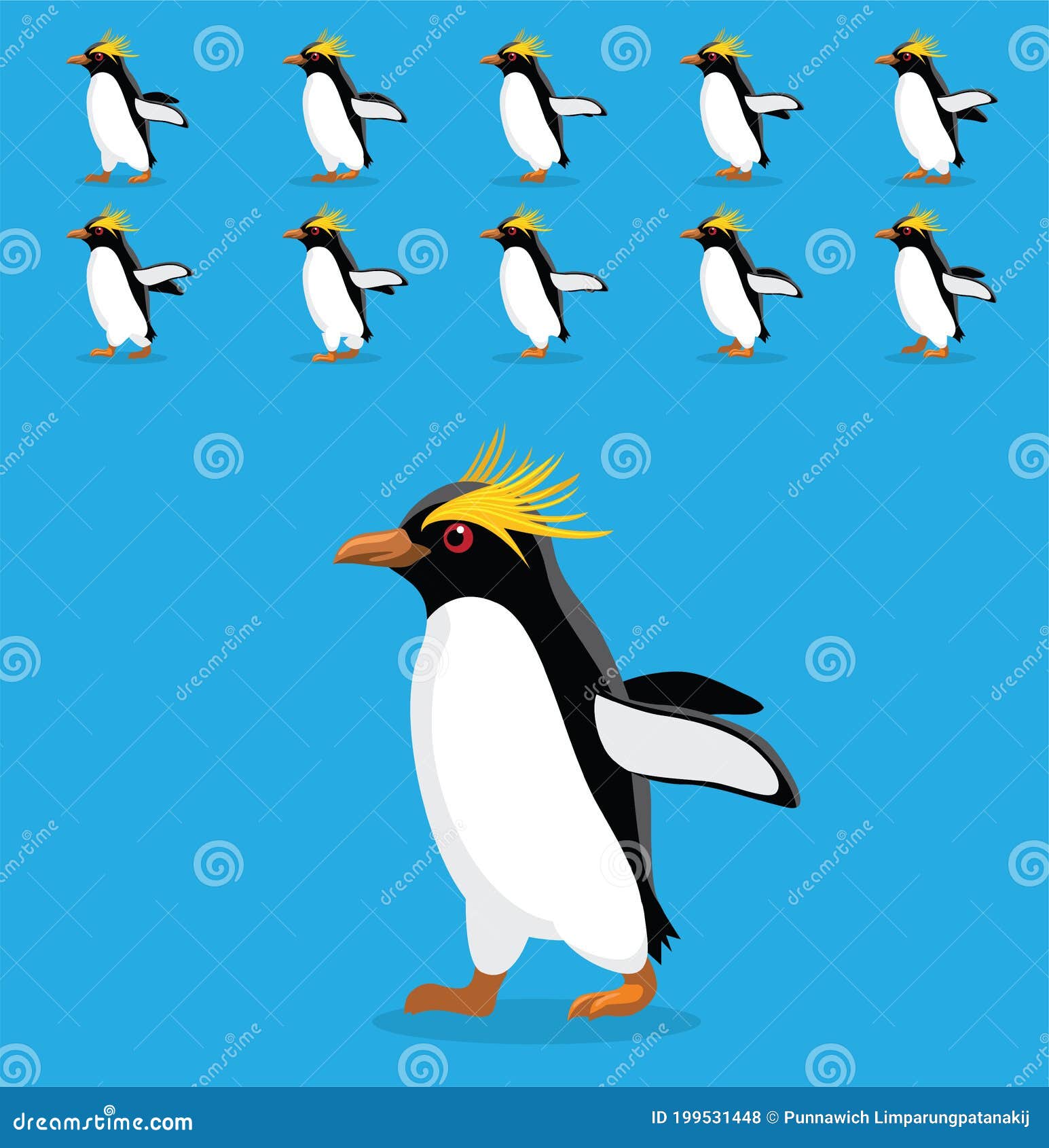 Animal Animation Sequence Macaroni Penguin Cartoon Vector Stock Vector ...