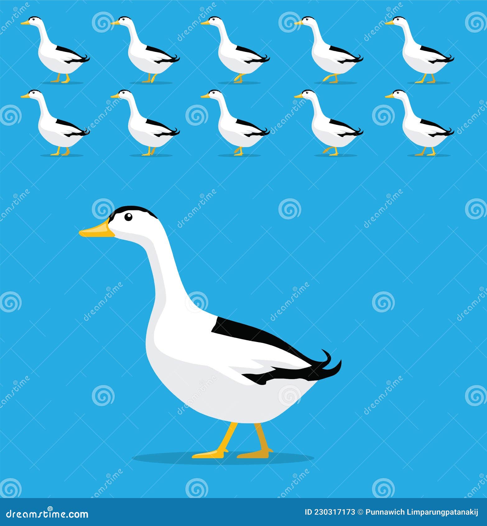 Animal Animation Sequence Magpie Duck Cartoon Vector Stock Vector ...