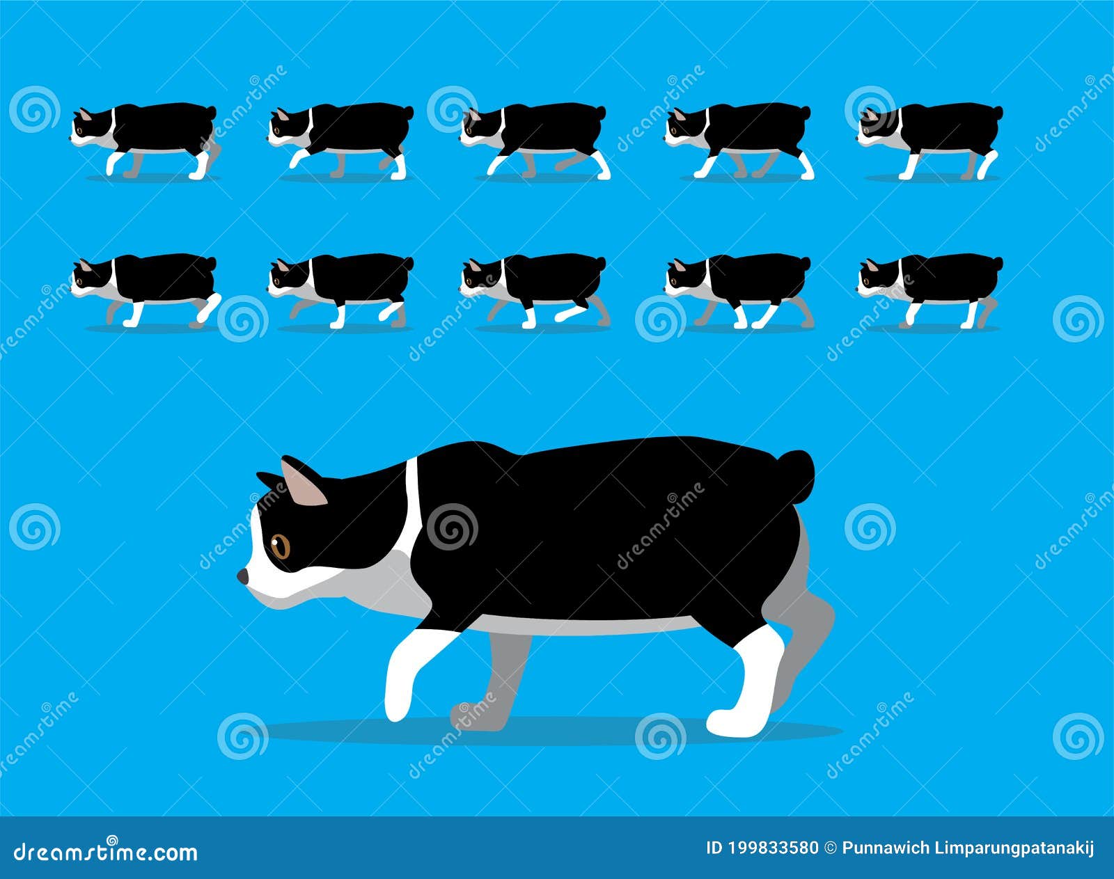 Animal Animation Sequence Manx Cat Cartoon Vector | CartoonDealer.com ...