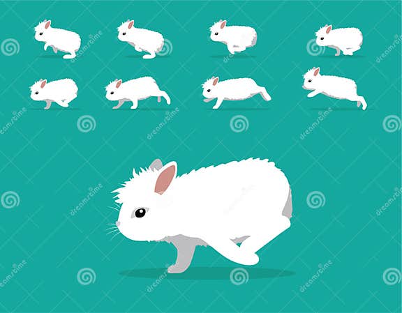 Animal Animation Sequence Rabbit Angora Cartoon Vector Stock Vector ...