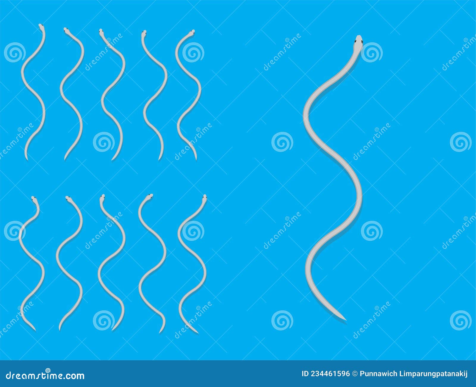 Animal Animation Sequence Texas Rat Snake Cartoon Vector Stock Vector ...