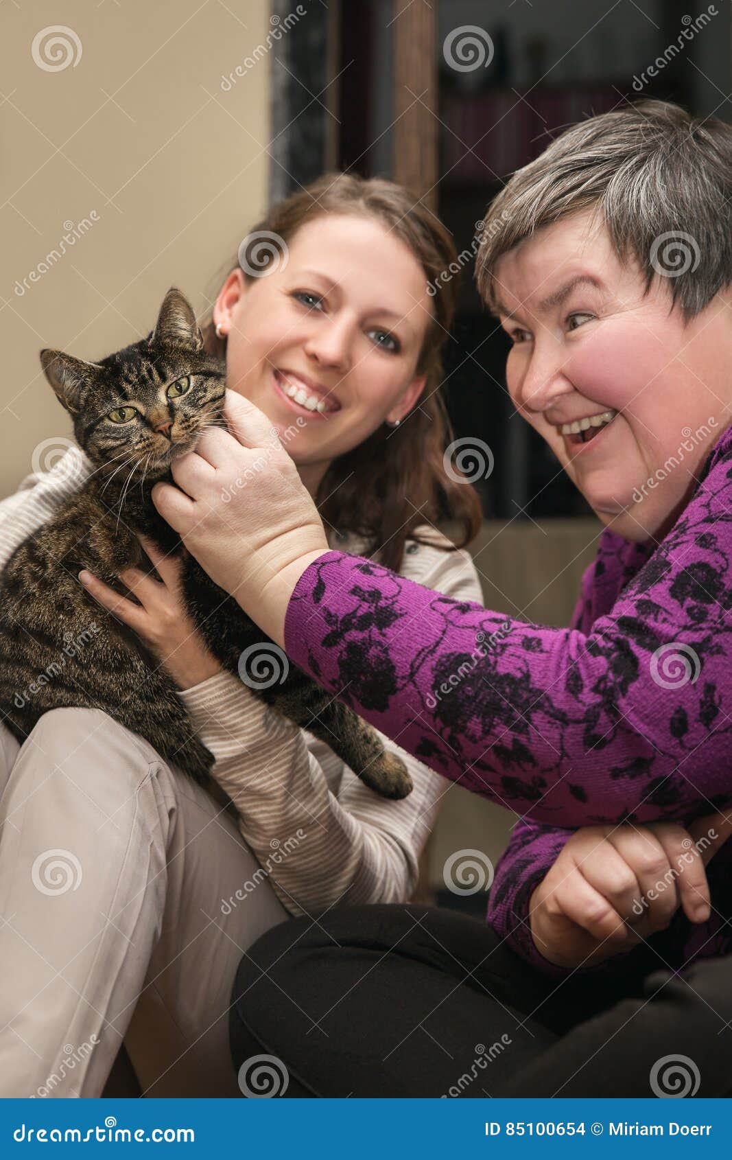 3,203 Animal Disability Stock Photos - Free & Royalty-Free Stock Photos ...