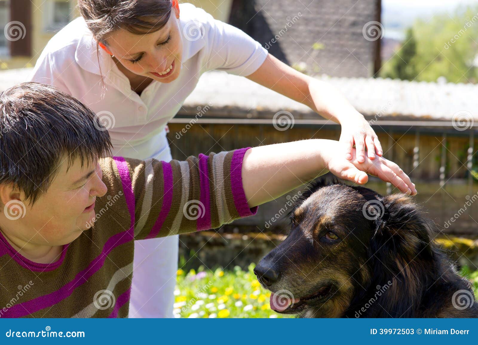 Animal Assisted Therapy with a Dog Stock Image - Image of mental ...