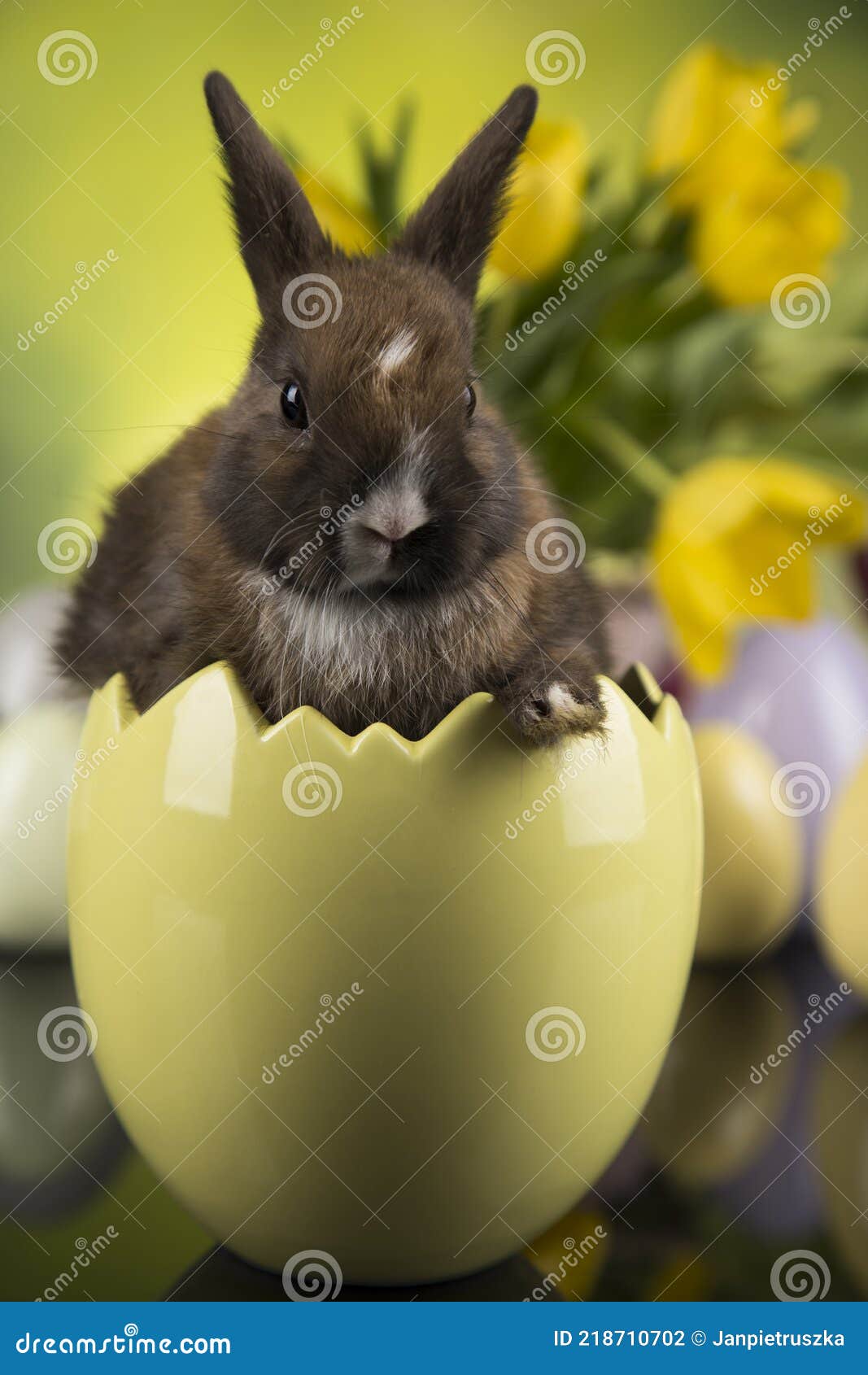 Animal Baby Bunny, Happy Easter Background Stock Photo - Image of ...
