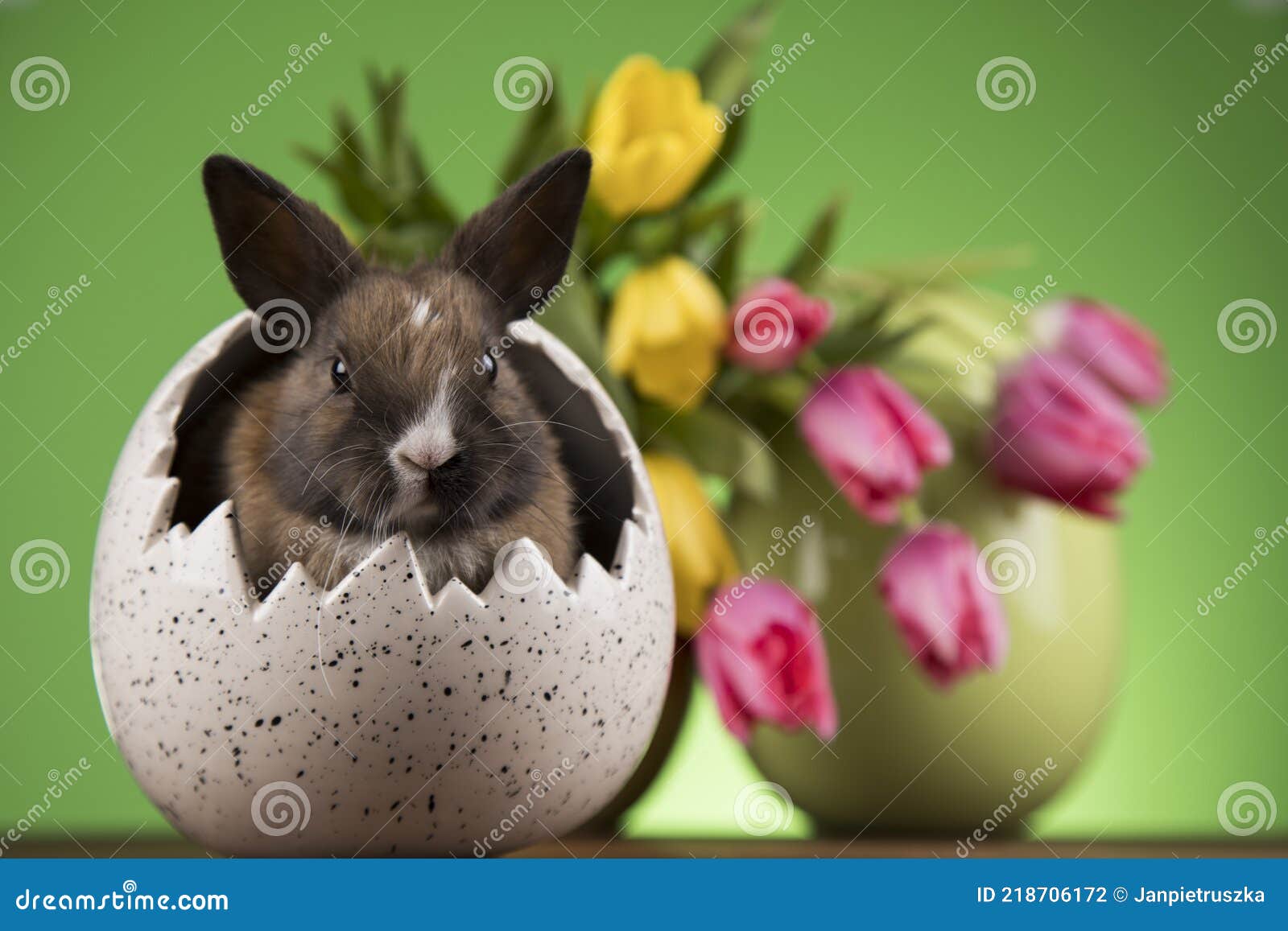 Animal Baby Bunny, Happy Easter Background Stock Photo - Image of funny ...