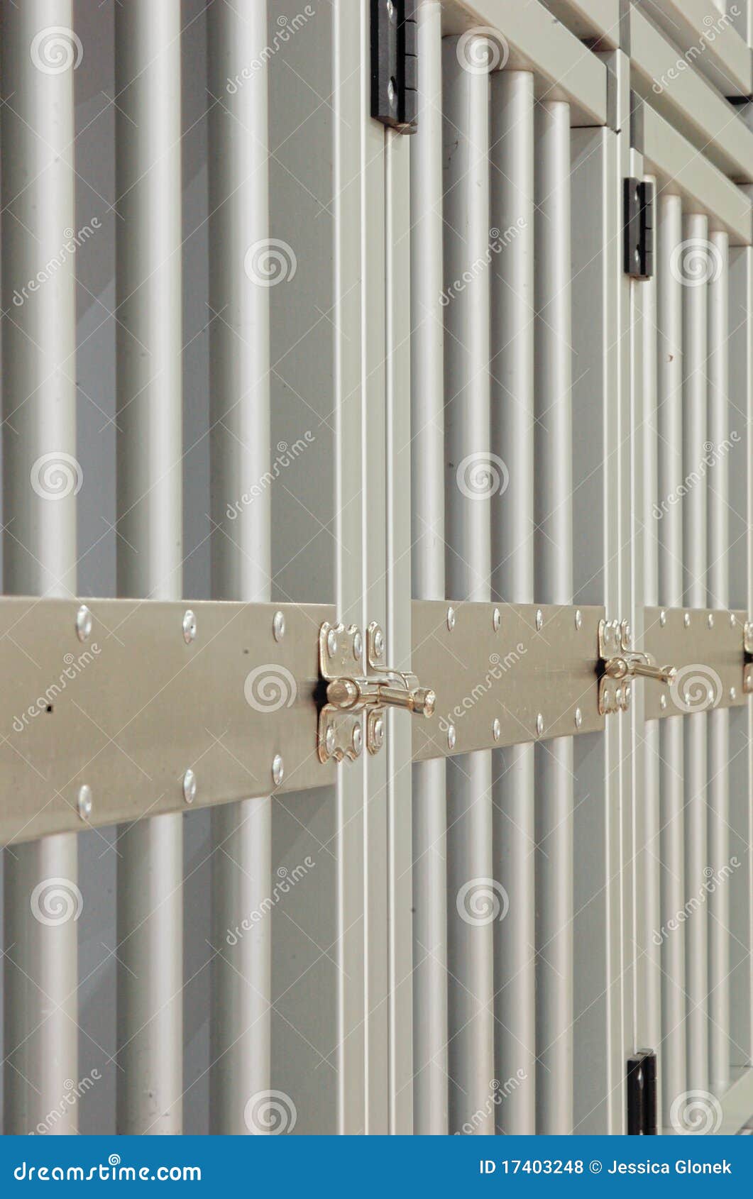 Animal cages stock photo. Image of metal, vets, surgeon - 17403248