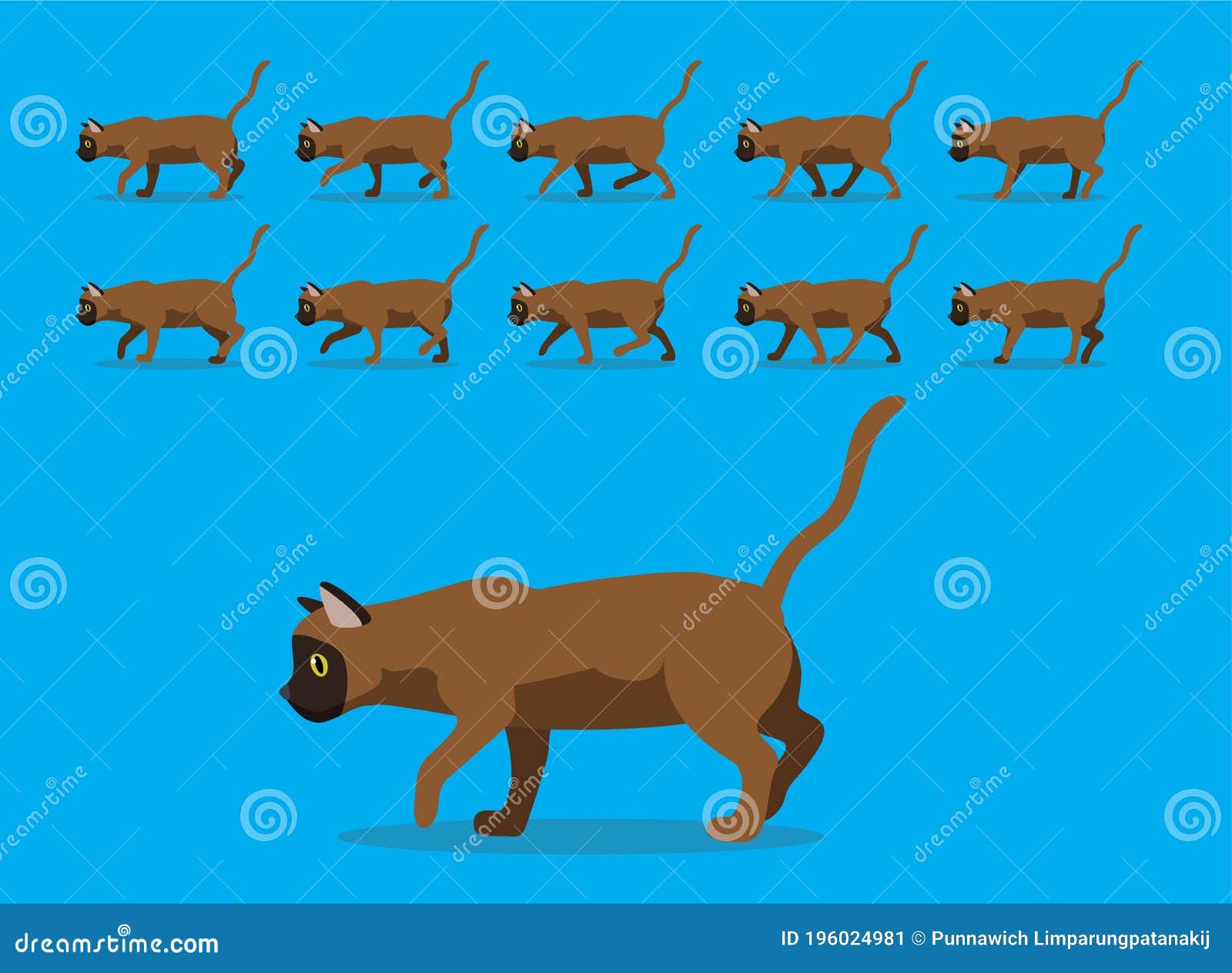 Animal Animation Sequence Burmese Cat Cartoon Vector Stock Vector ...