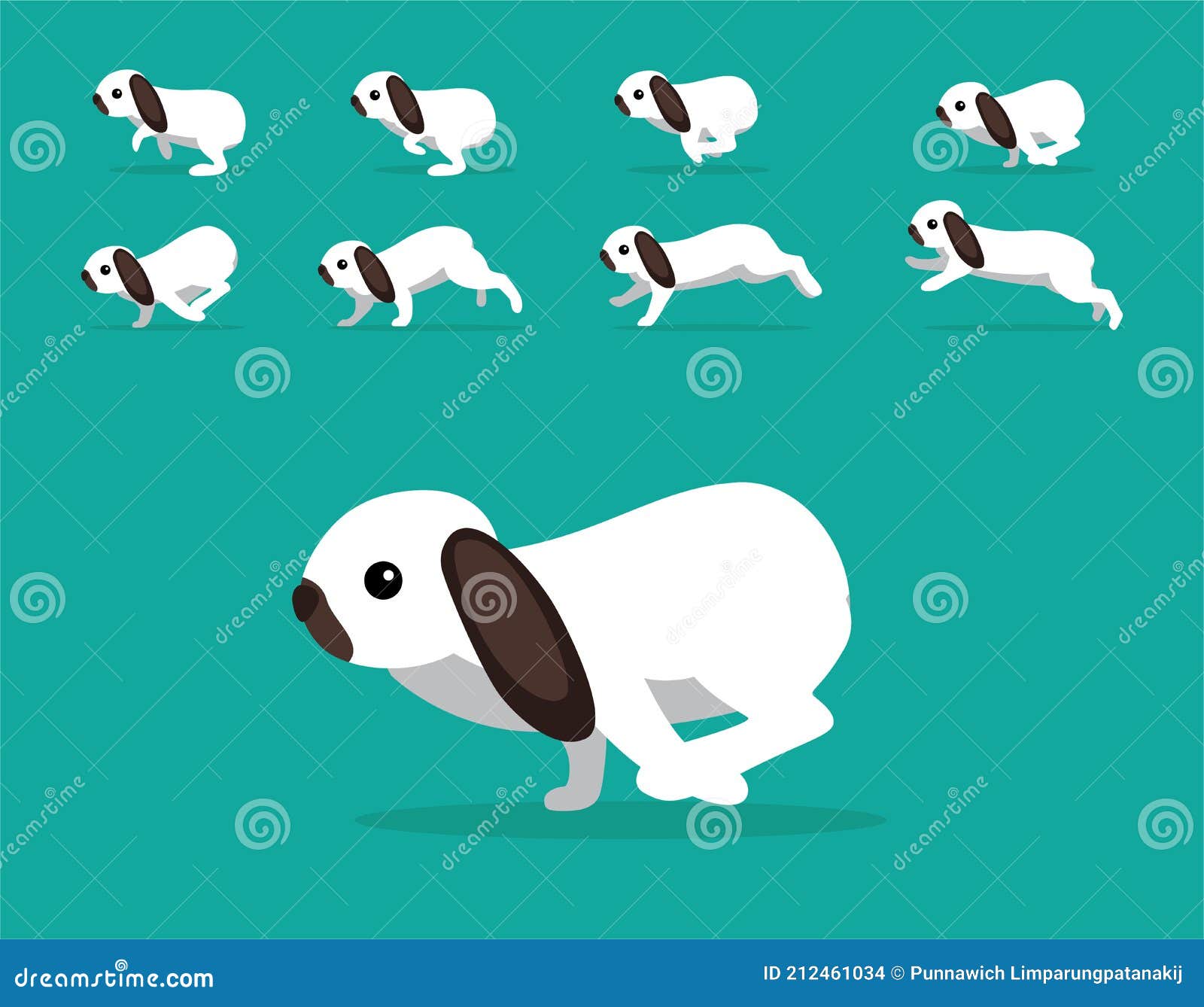 Animal Animation Sequence Rabbit Holland Lop Cartoon Vector Stock ...