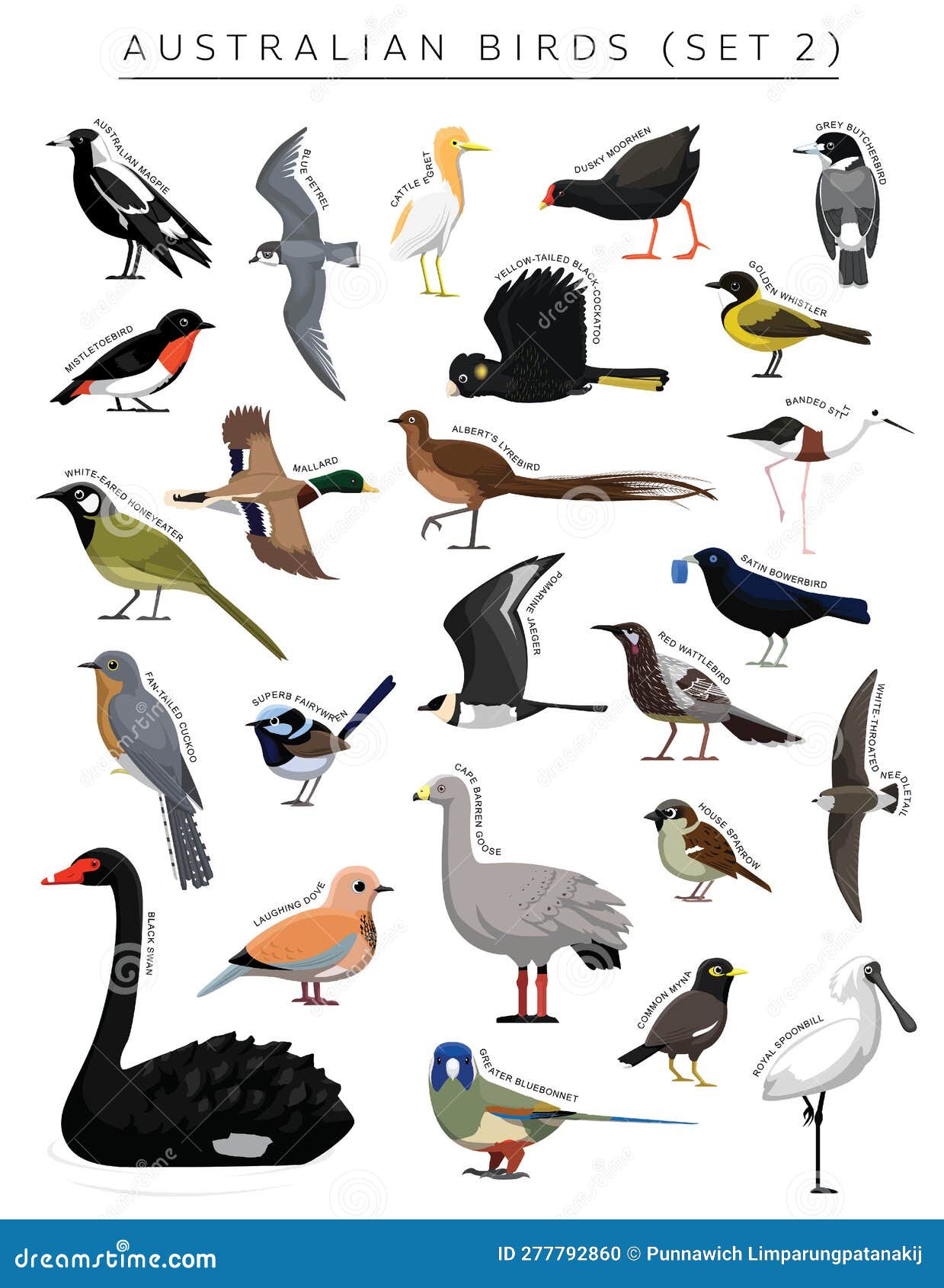 Australian Birds Set Cartoon Vector Character 2 Stock Vector ...