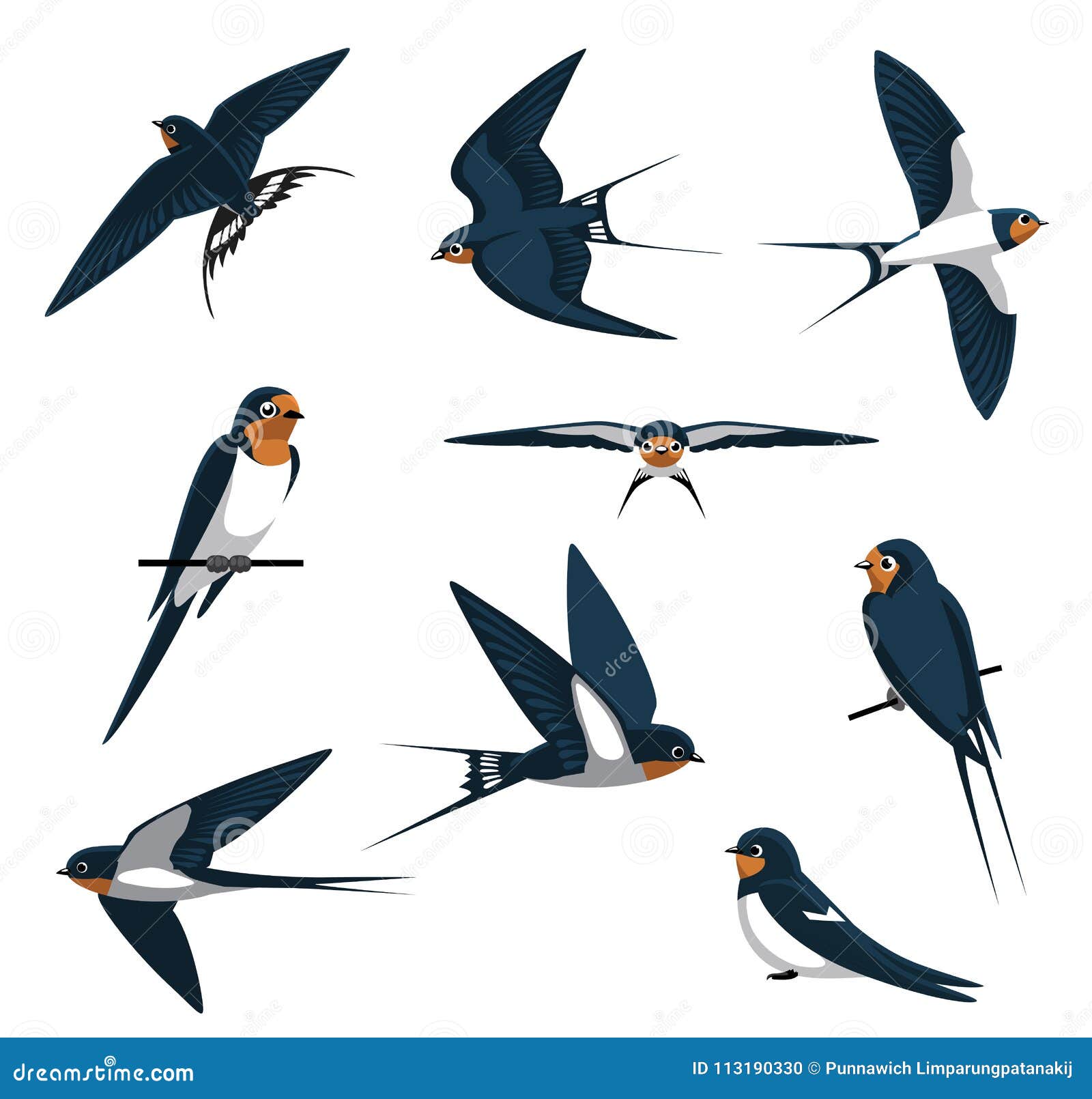 Barn Swallow Flying Cartoon Vector Illustration Stock Vector ...