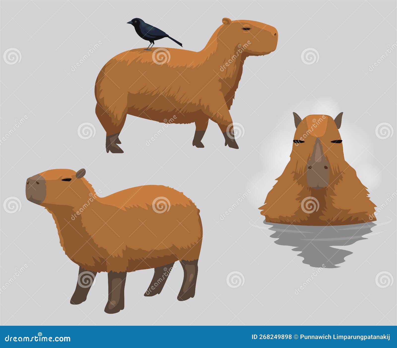 Capybara Cute Cartoon Poses Vector Illustration Set 1 | CartoonDealer ...