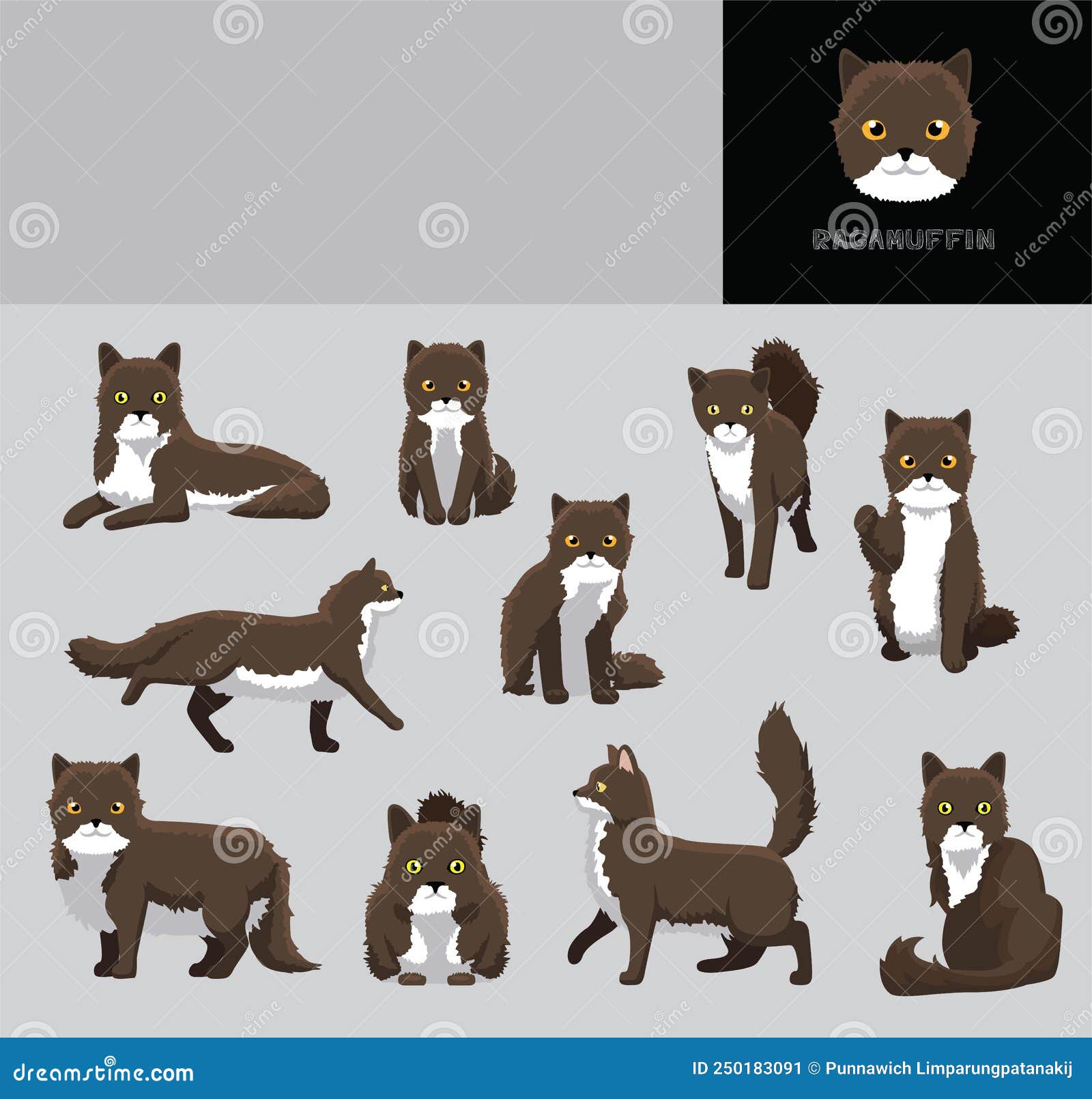 Cat Ragamuffin Cartoon Vector Illustration Color Variation Set Stock