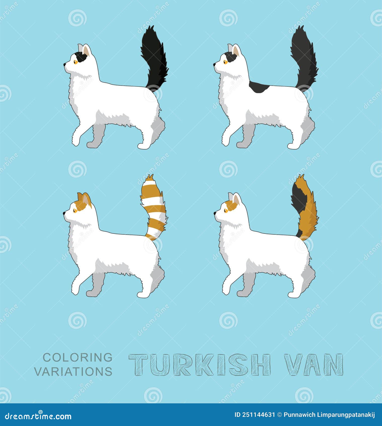 Cat Turkish Van Coloring Variations Vector Illustration Stock Vector ...