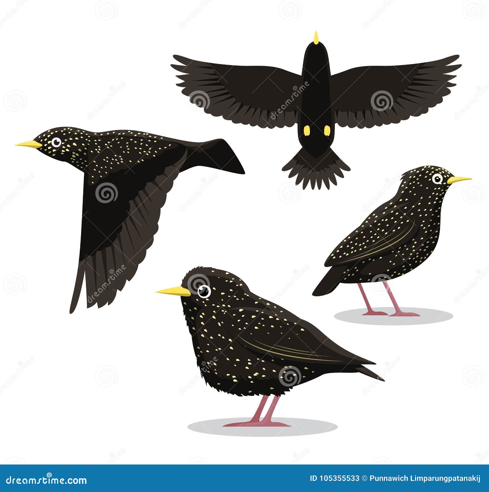 Common Starling Cartoon Vector Illustration Stock Vector - Illustration ...