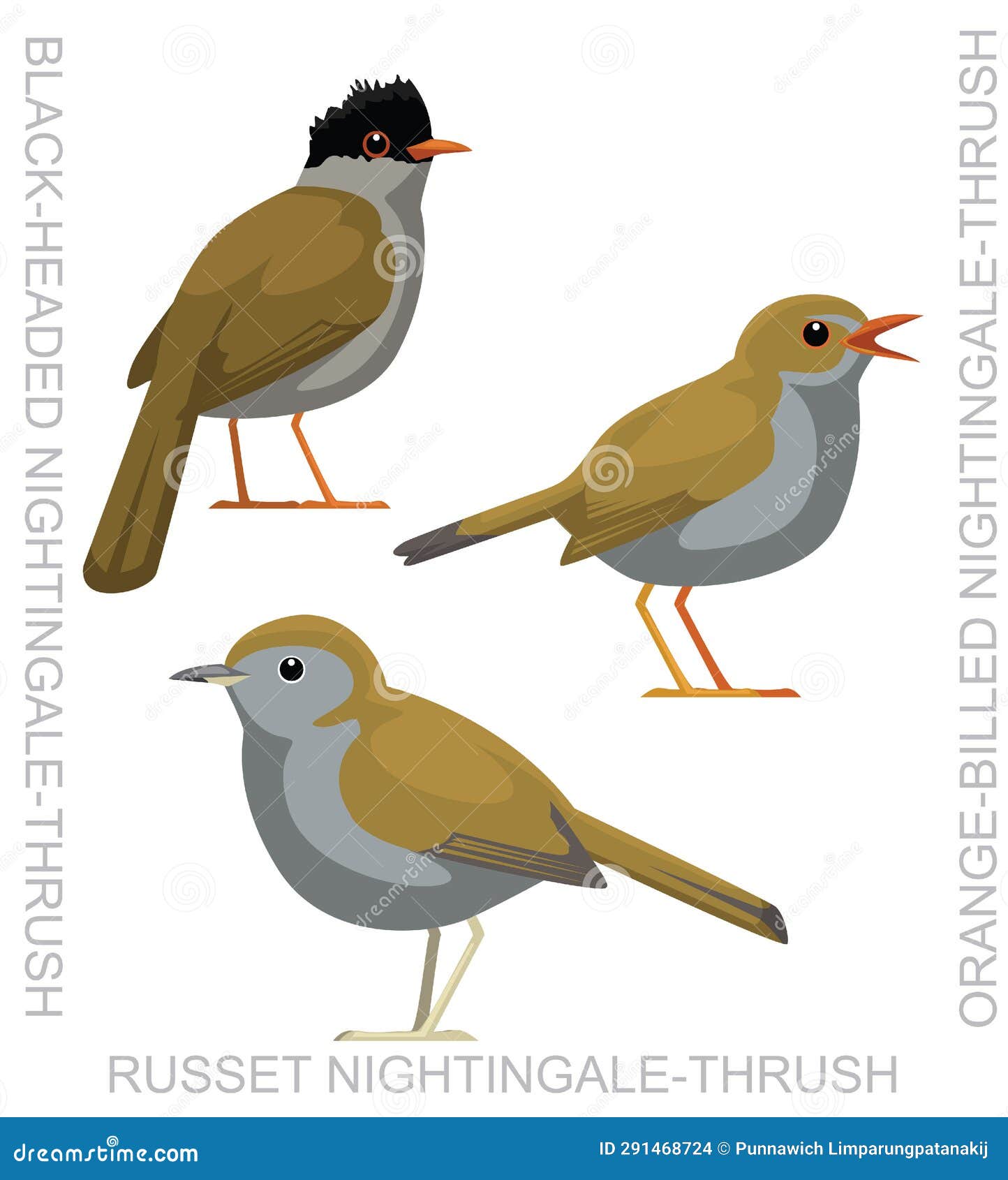 Cute Bird Nightingale-Thrush Set Cartoon Vector Stock Vector ...