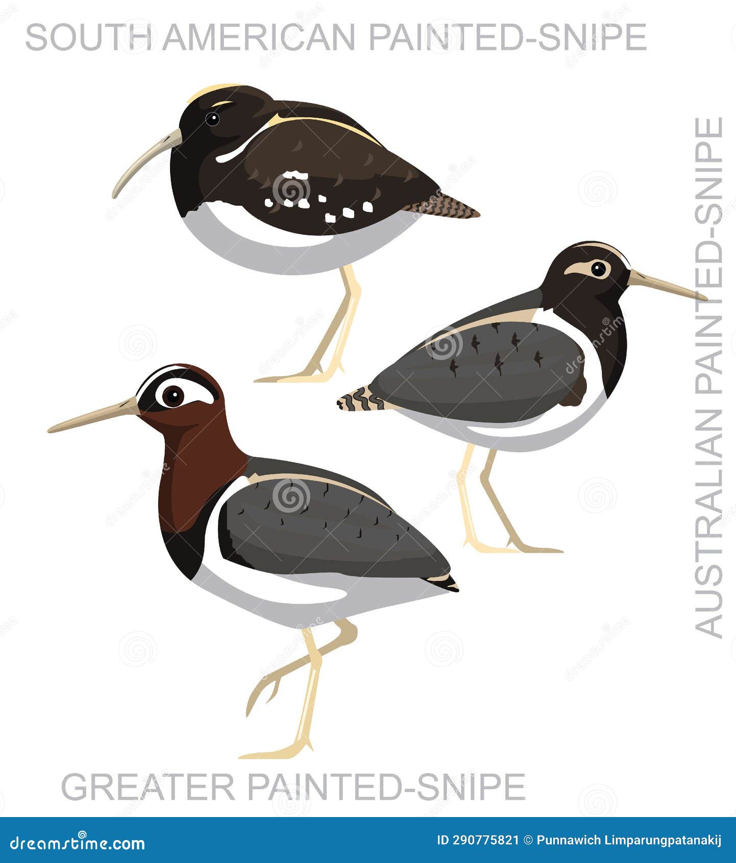 Set Of Snipe Cartoon Icon Design Template With Various Models. Vector ...